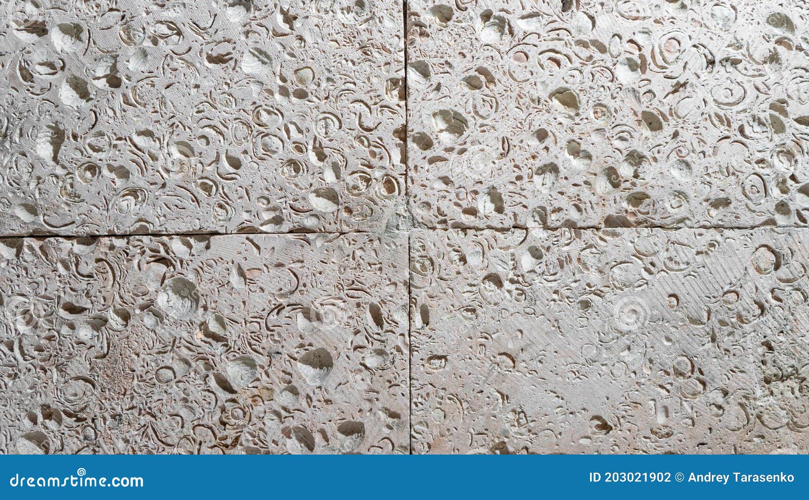 This is a Light Limestone Slab with Traces of Shells Stock Photo ...