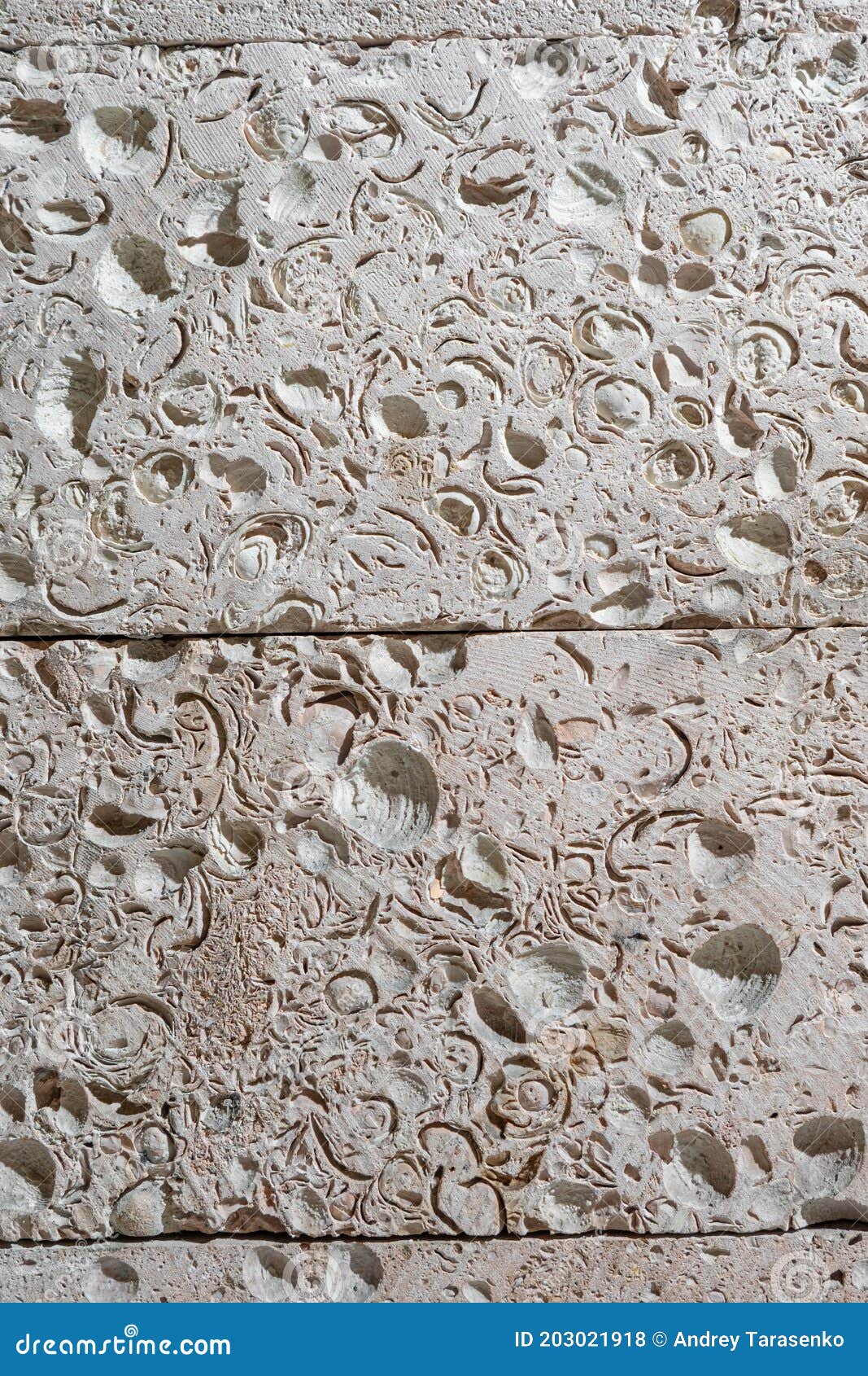 This is a Light Limestone Slab with Traces Stock Photo - Image of ...