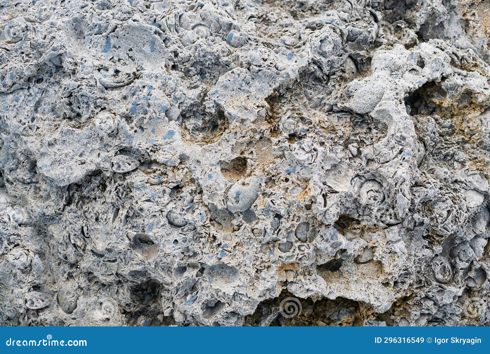 Light Limestone with Traces of Shells. Shell Texture. Natural Stone ...
