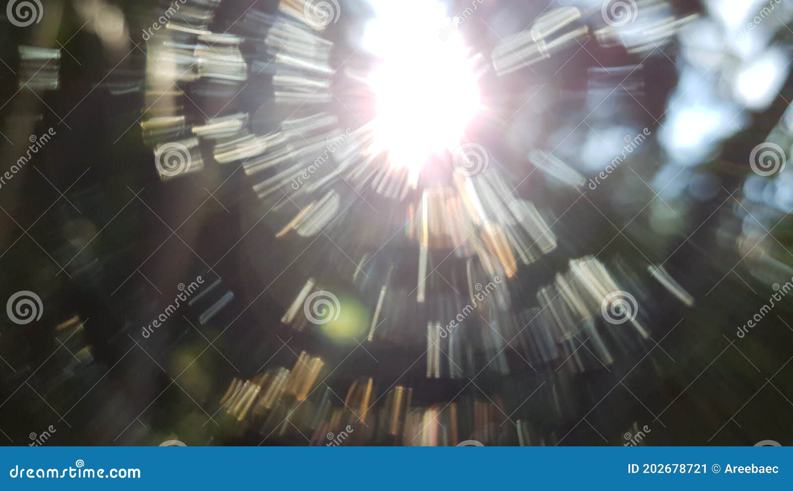 Light Magic Reflection on Spider Net Stock Image - Image of reflection ...