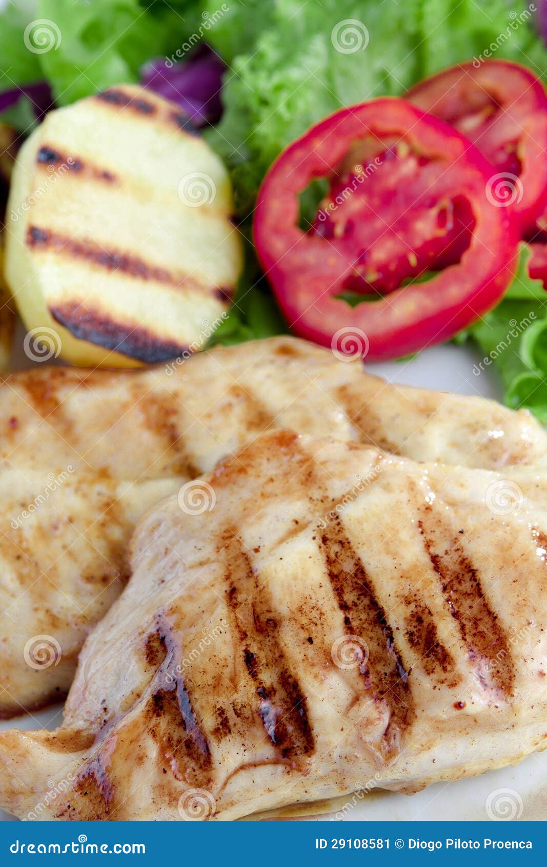 Light meal stock image. Image of beef, meal, recipe, chicken - 29108581