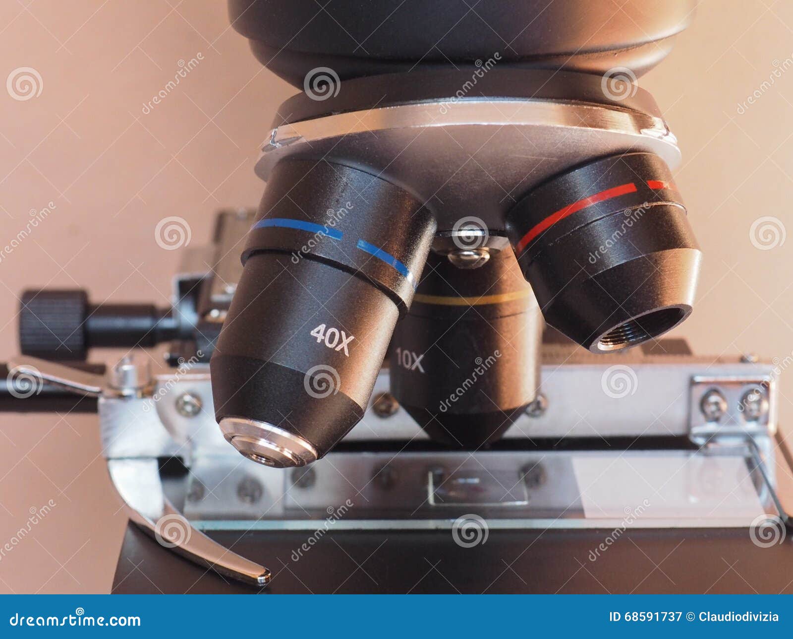 Light microscope detail stock image. Image of selective - 68591737