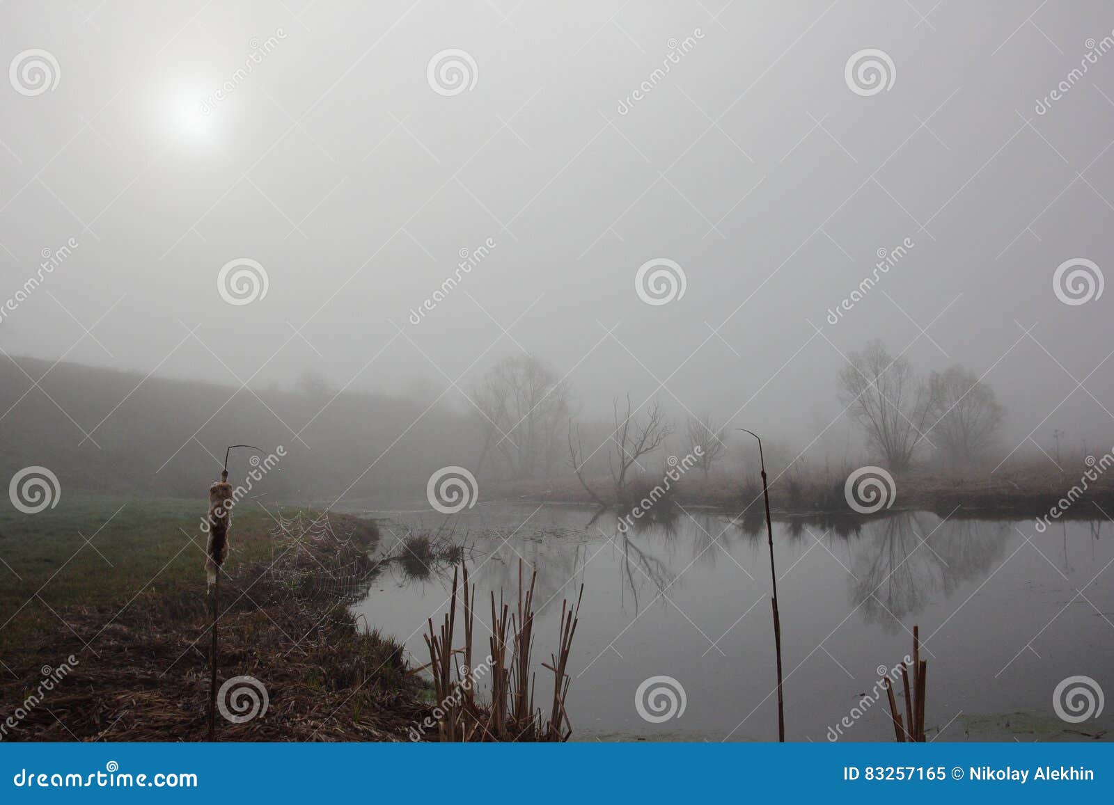 Light mist stock image. Image of bright, design, texture - 83257165