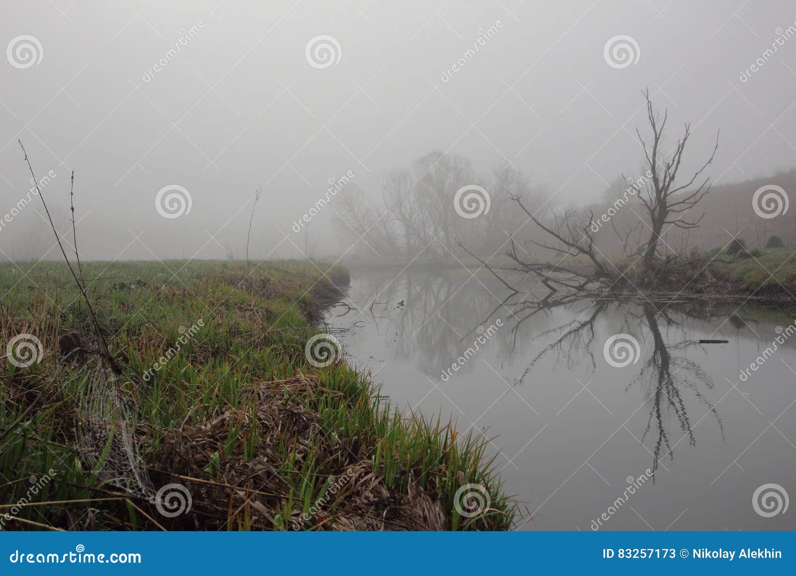 Light mist stock image. Image of design, texture, travel - 83257173