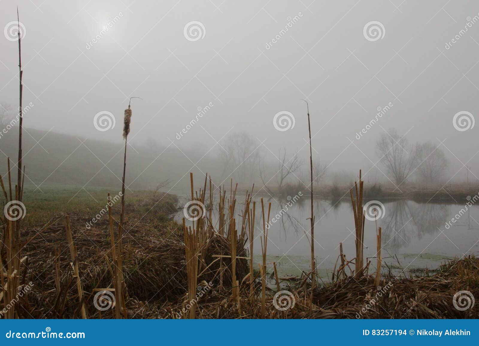 Light mist stock photo. Image of design, concept, travel - 83257194