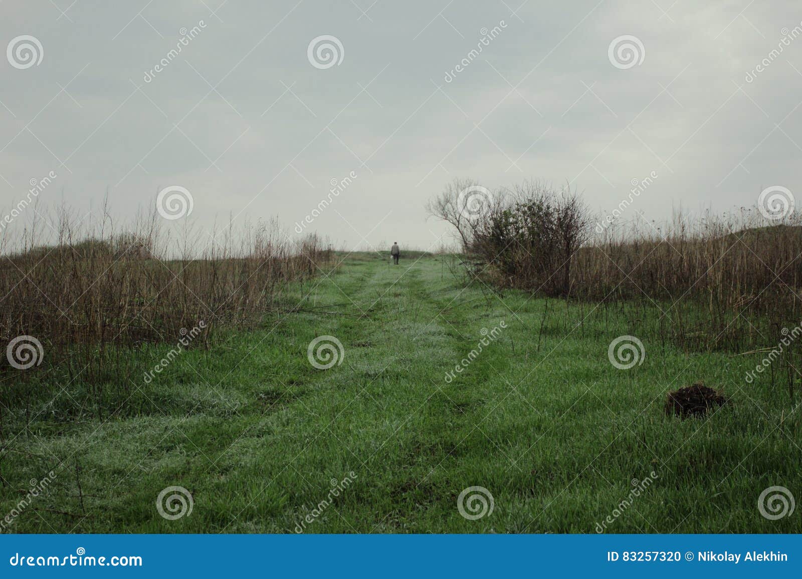 Light mist stock photo. Image of design, concept, yellow - 83257320