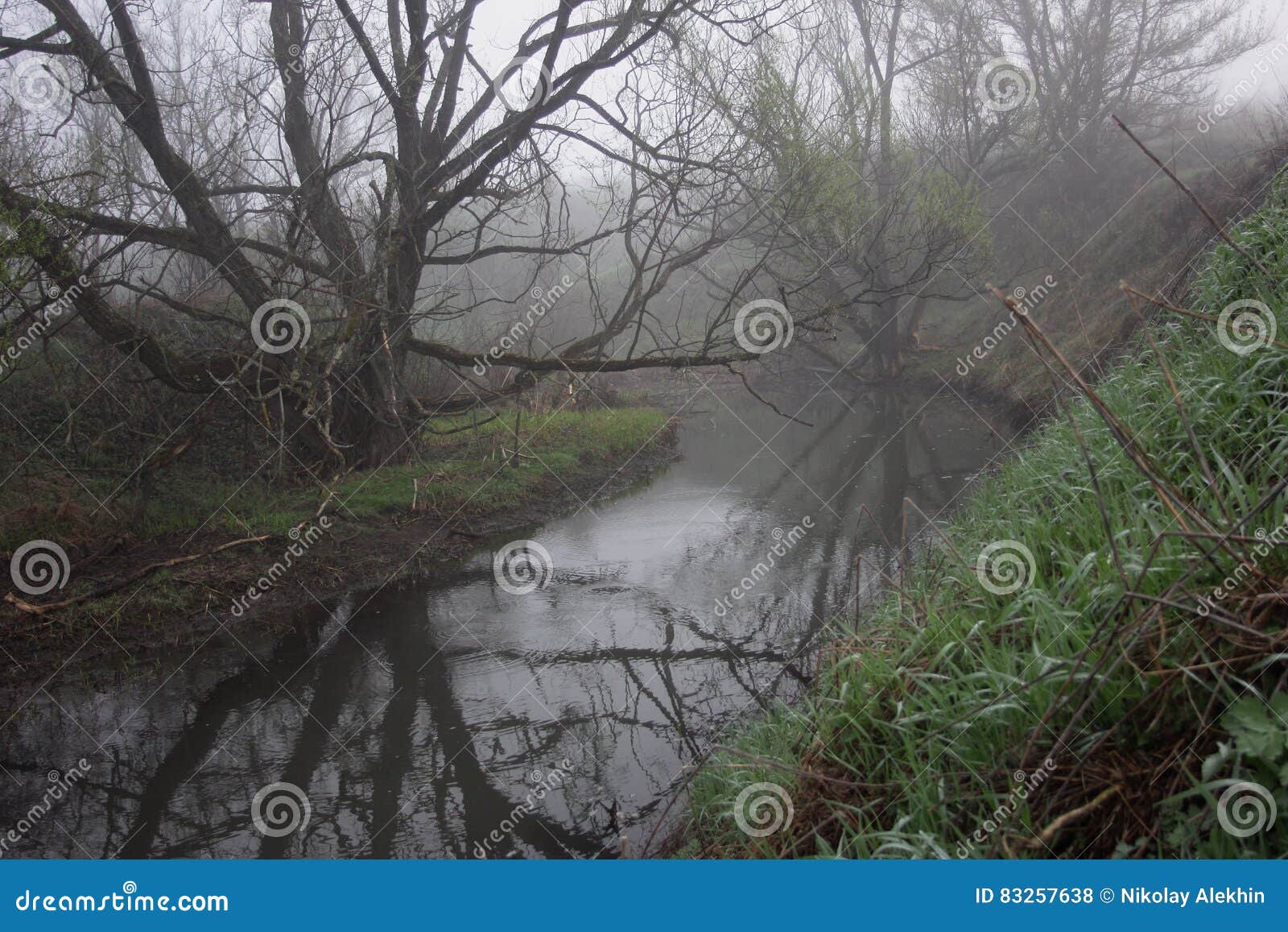 Light mist stock photo. Image of concept, design, niagara - 83257638