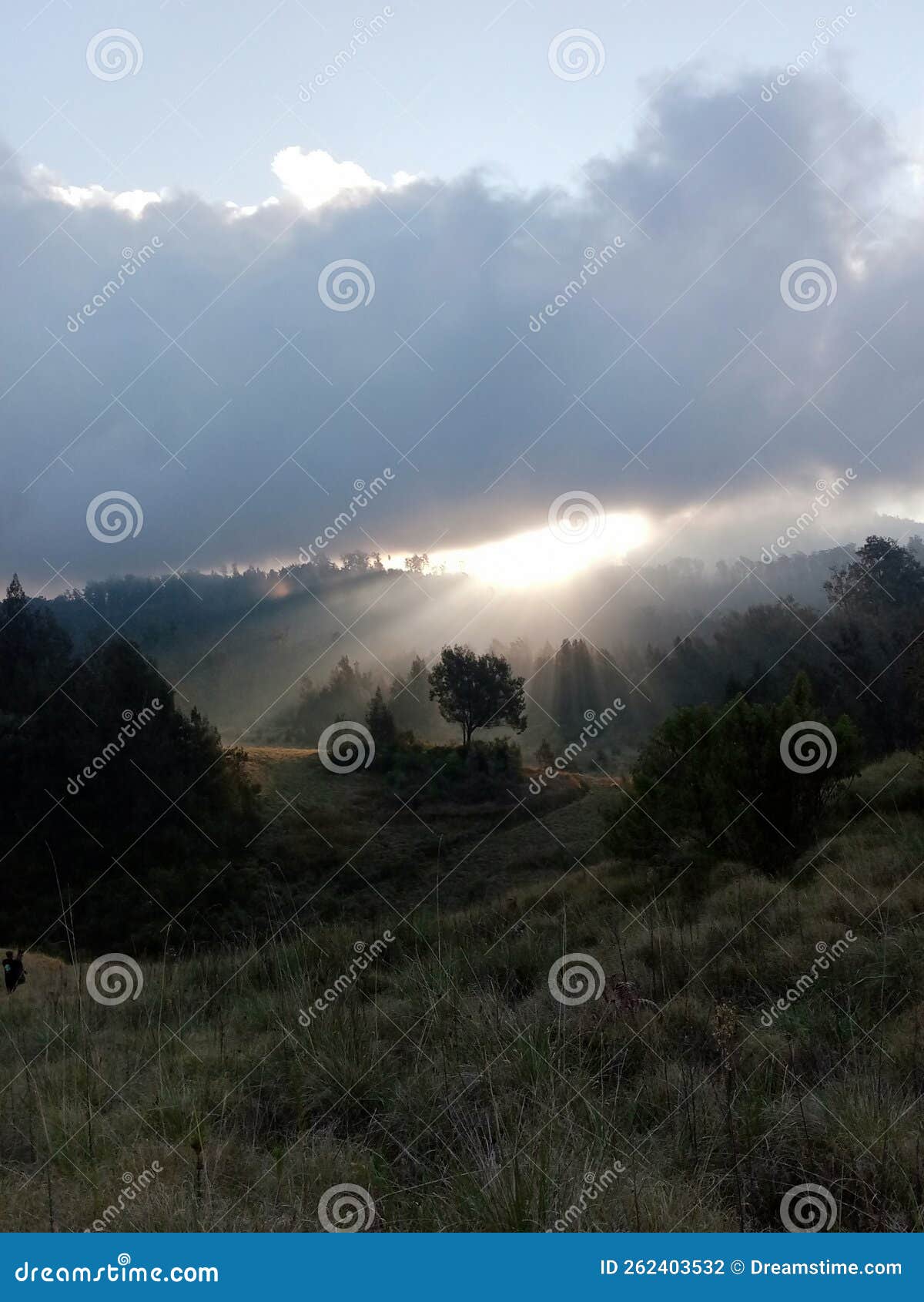 Light in mount argopuro stock photo. Image of ilahi - 262403532