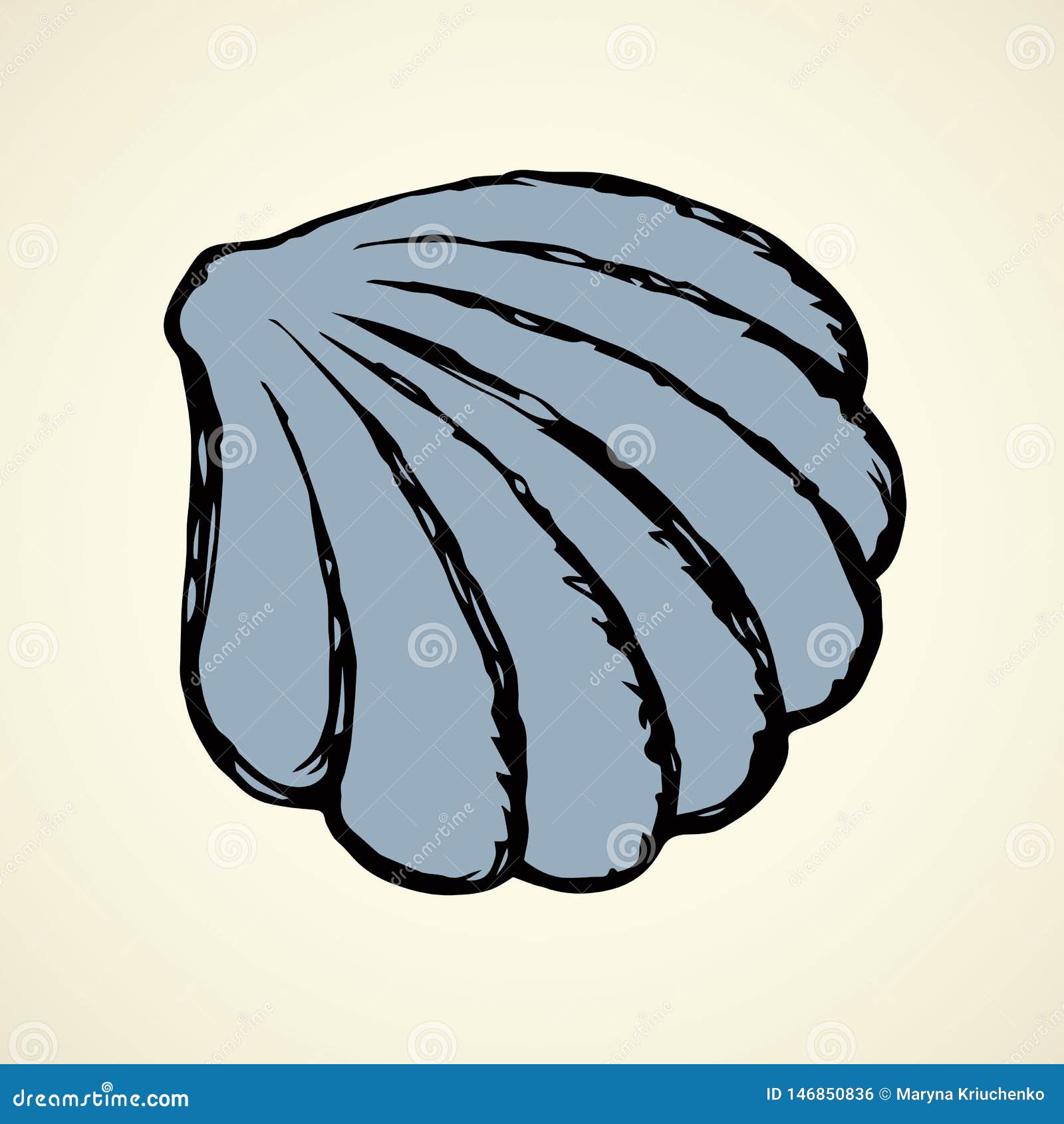 Vector sketch. Shell stock vector. Illustration of freehand - 146850836