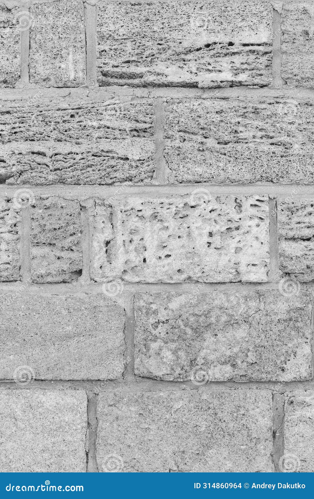 Shell Brick Wall Pattern Surface Mineral Material Texture Background ...