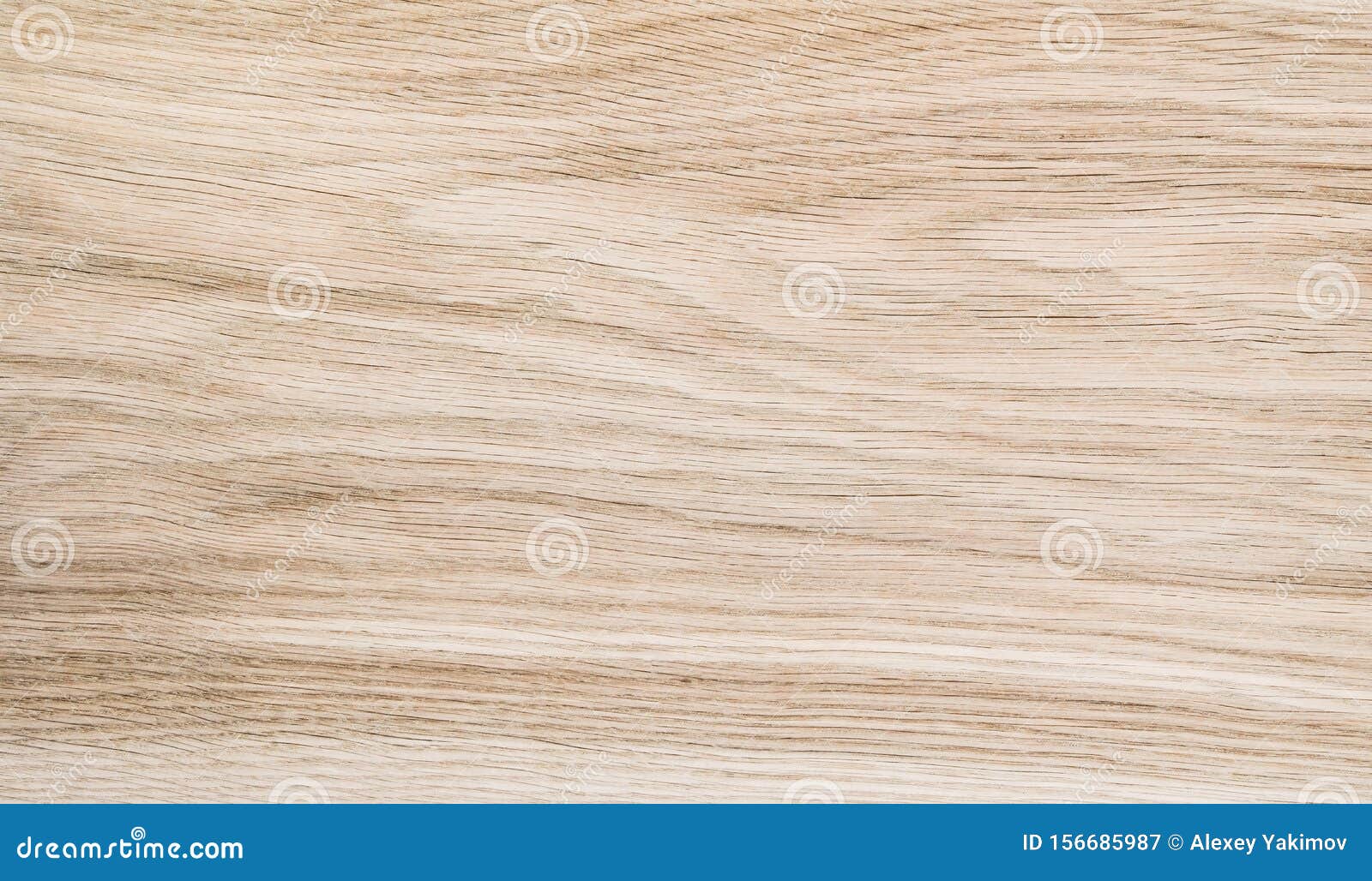 Light Natural Oak Wood Texture for Background Stock Image - Image of ...