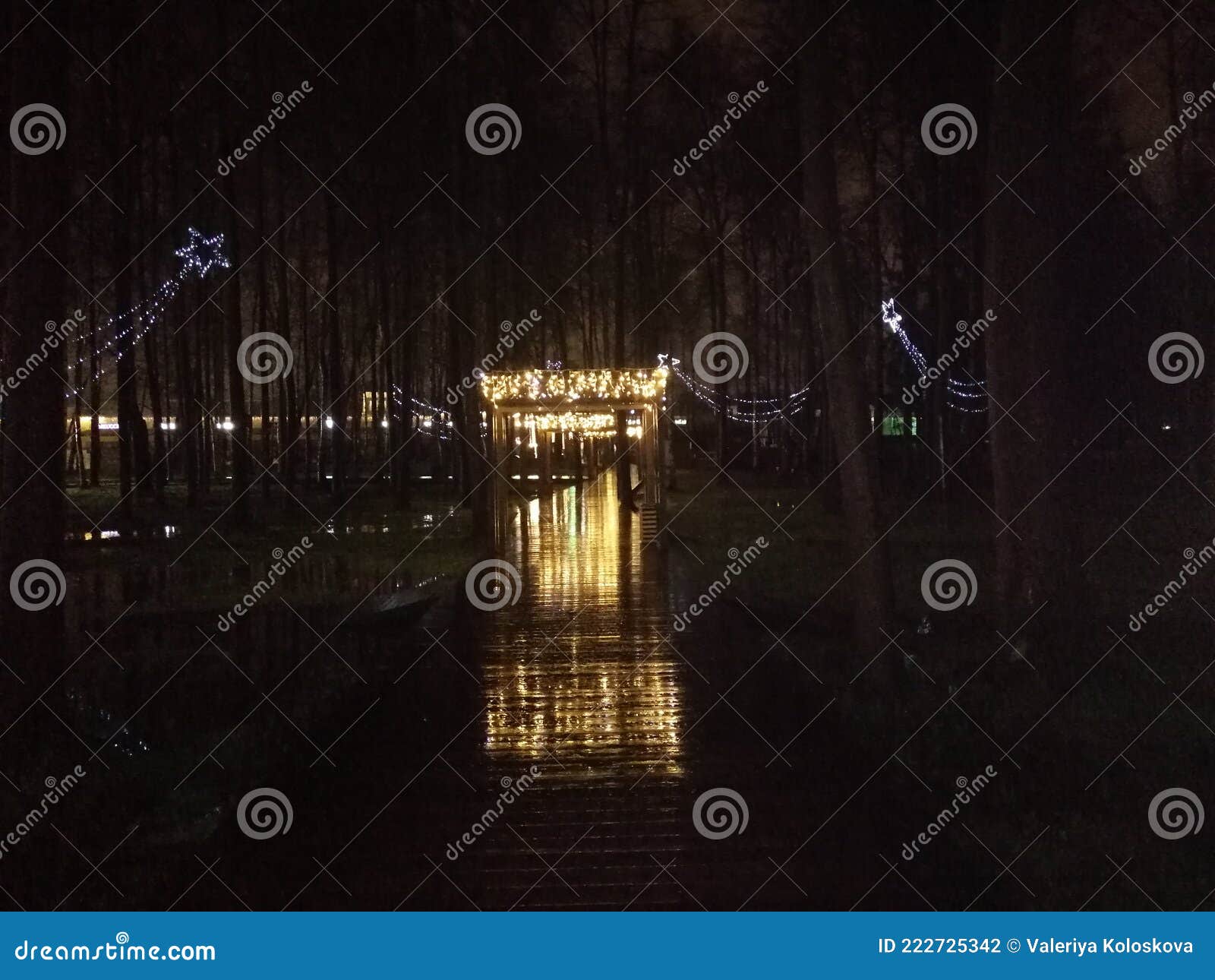 Light night road trees stock photo. Image of road, photograph - 222725342
