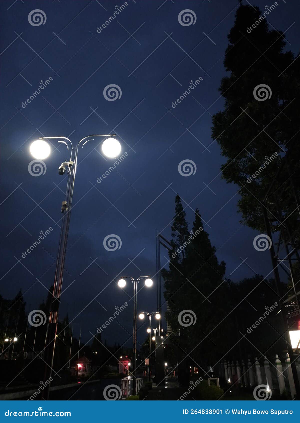 Light at Night when it& X27;s Drizzling Stock Image - Image of tree ...