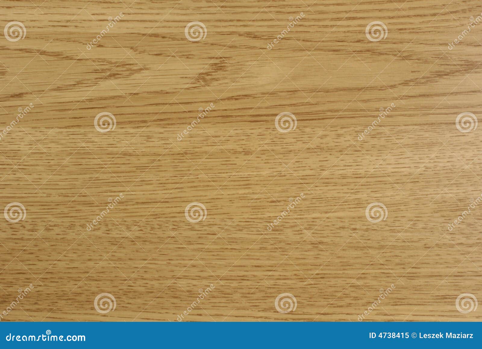 Light oak stock image. Image of pattern, grained, design - 4738415