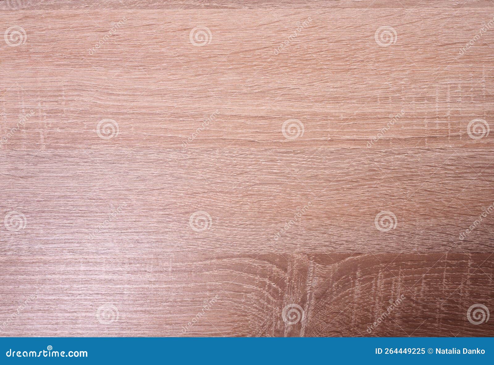 Light Oak Wood Texture, Full Frame Stock Image - Image of panel ...