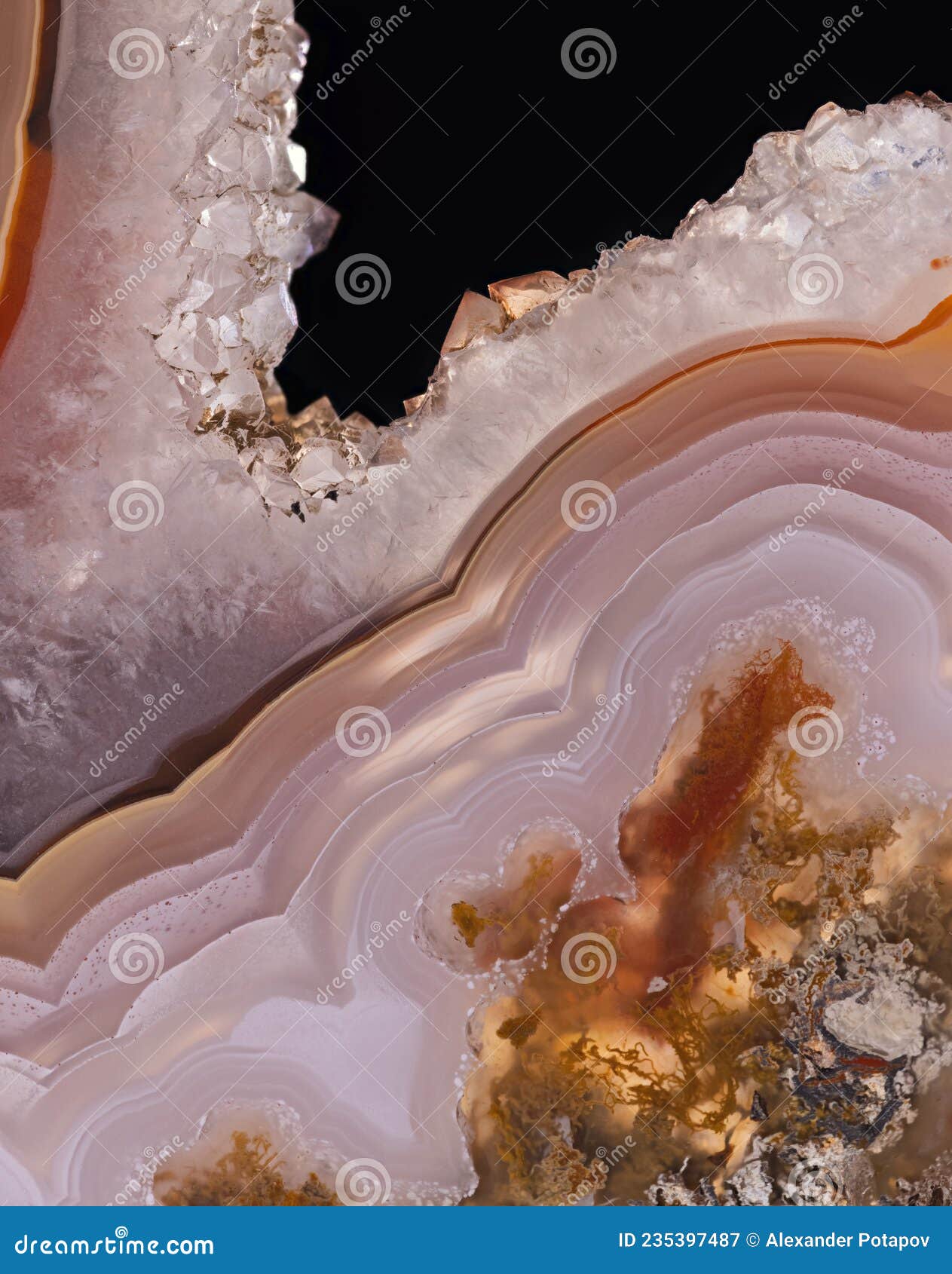 Light Orange Agate Slice with Quartz Crystals on Black Stock Image ...