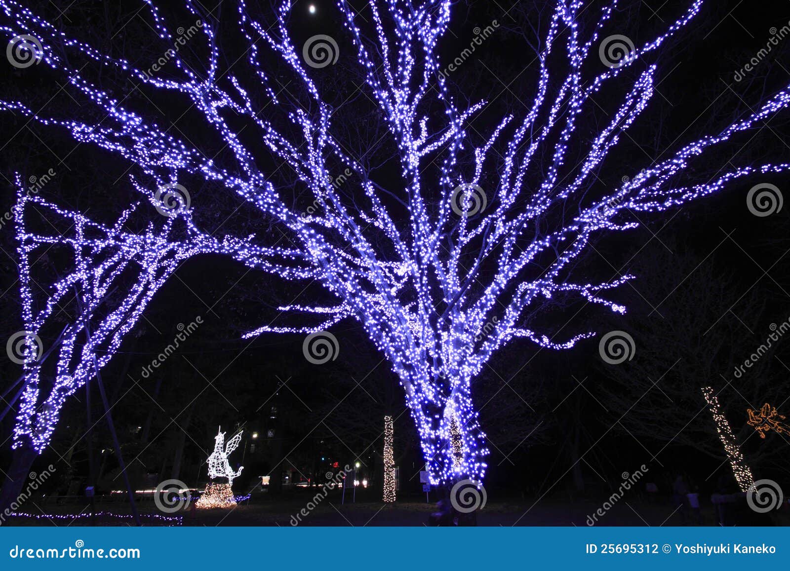 The Light of Pageant in Sendai Stock Photo - Image of light, miyagi ...