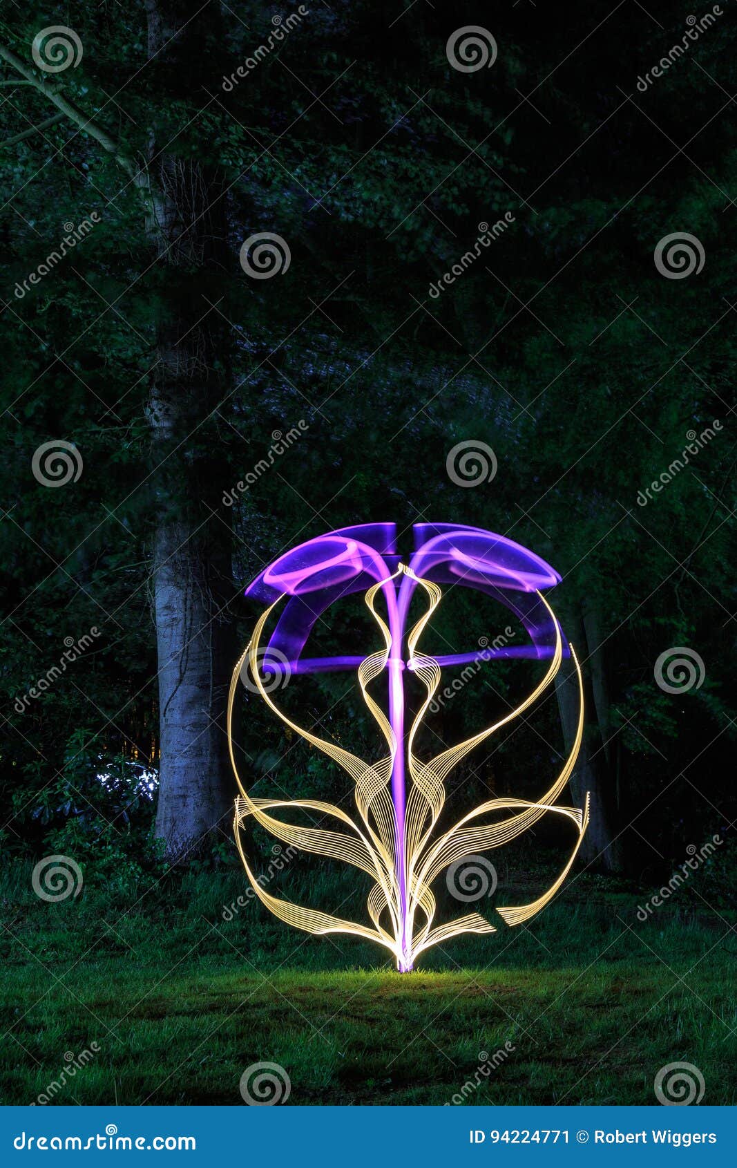 Light painting in forest stock illustration. Illustration of nighttime ...