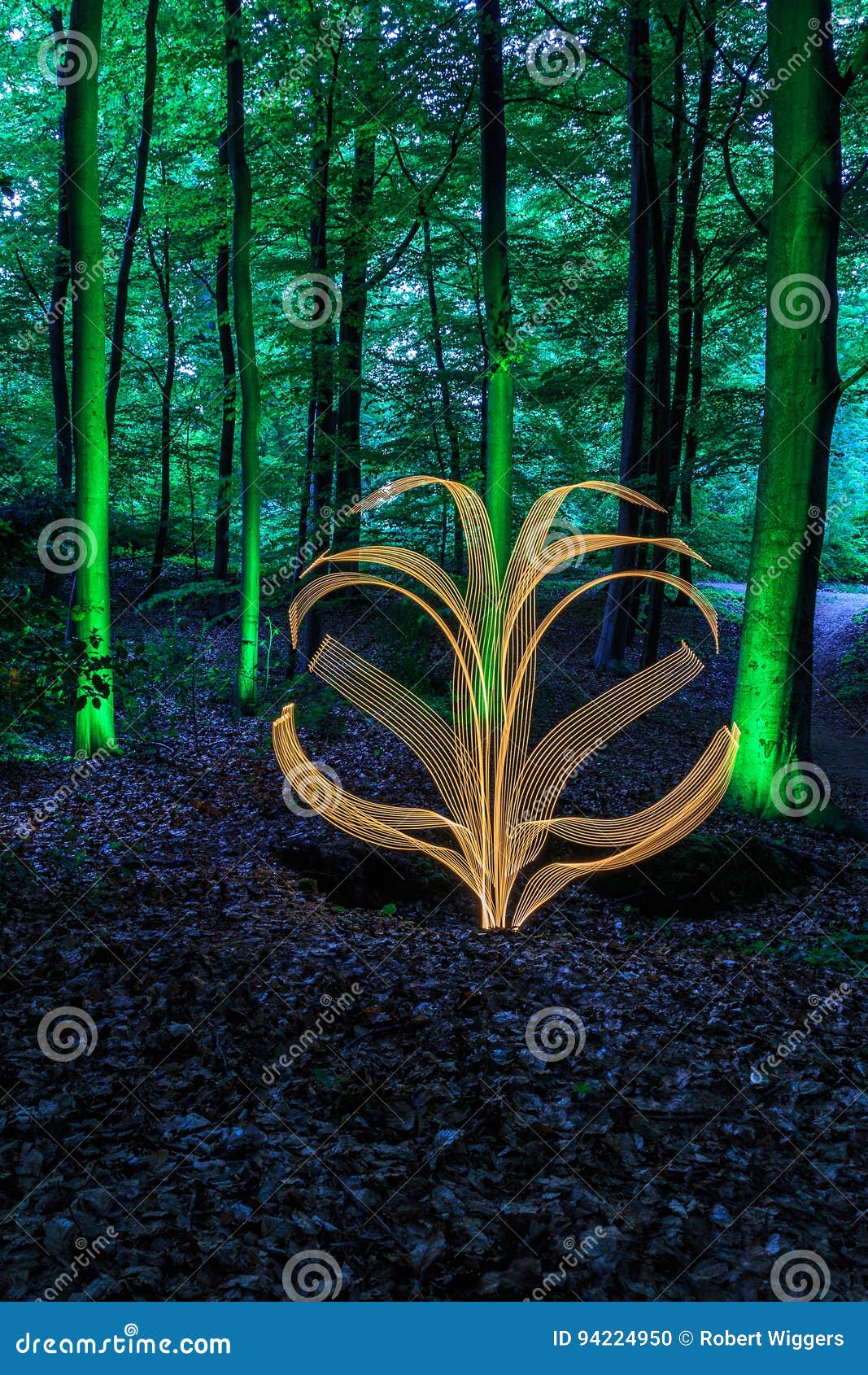 Light painting in forest stock photo. Image of painting - 94224950