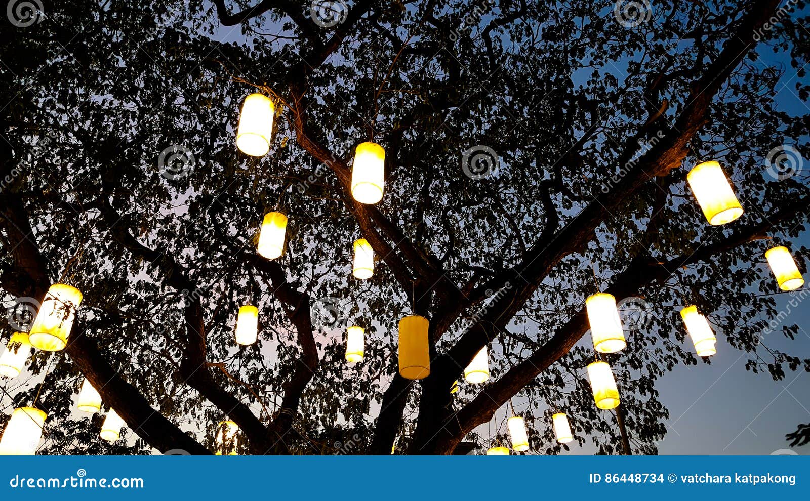 Light of Paper Lantern Decorating on Tree at Night Stock Photo - Image ...