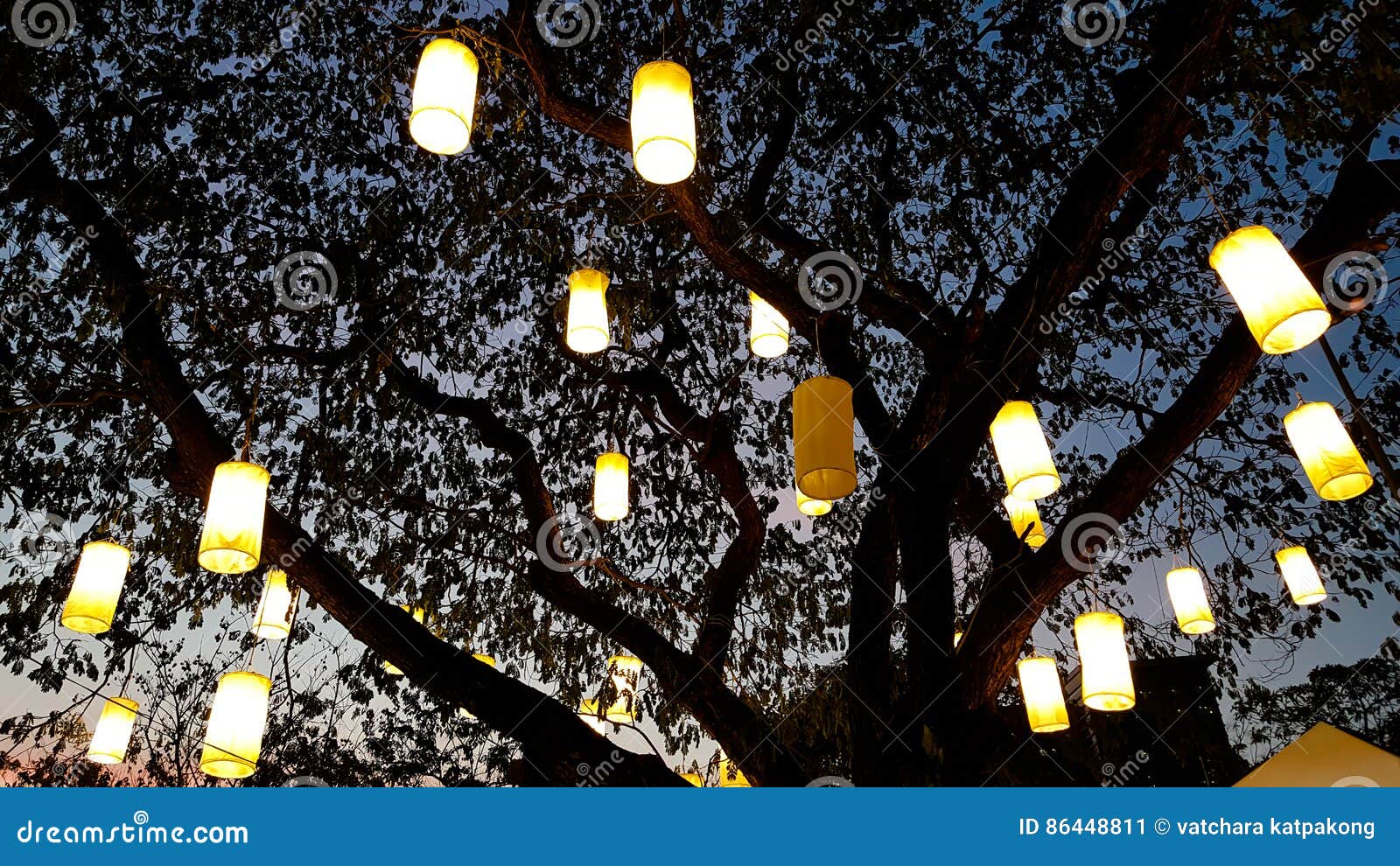 Light of Paper Lantern Decorating on Tree at Night Stock Image - Image ...