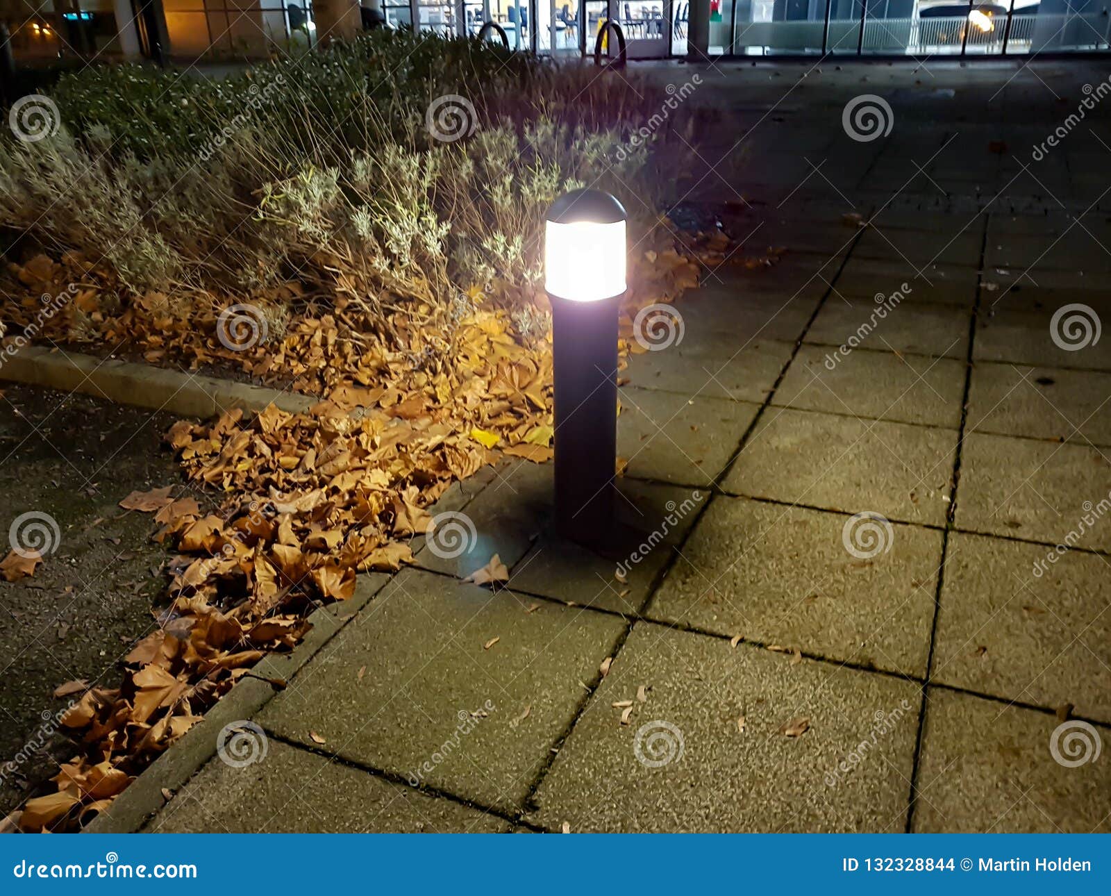 Light on Path with Leaves stock photo. Image of leaf - 132328844