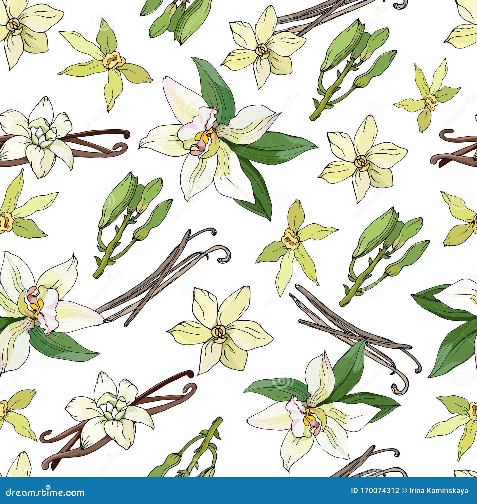 Light Pattern of Vanilla Flowers on a White Background. Seamless Vector ...