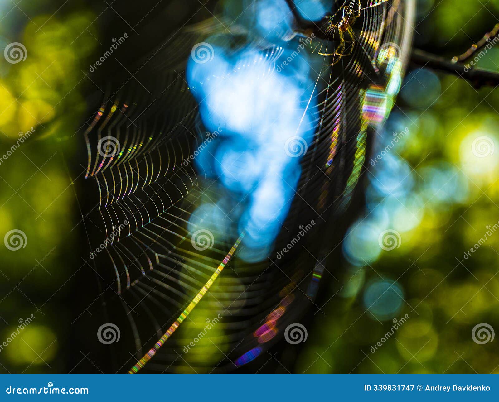 Light phenomena in the web stock image. Image of phenomenon - 339831747
