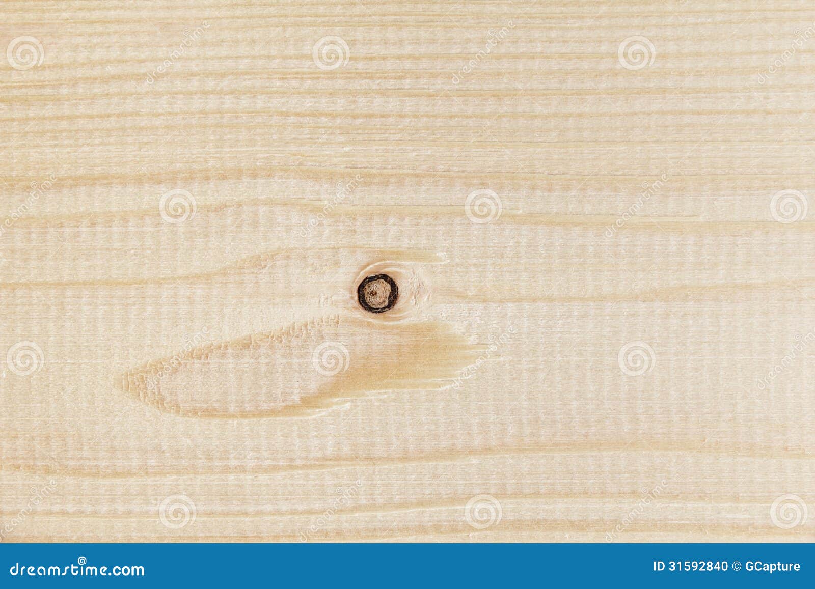 Light pine wood texture stock photo. Image of line, grain - 31592840