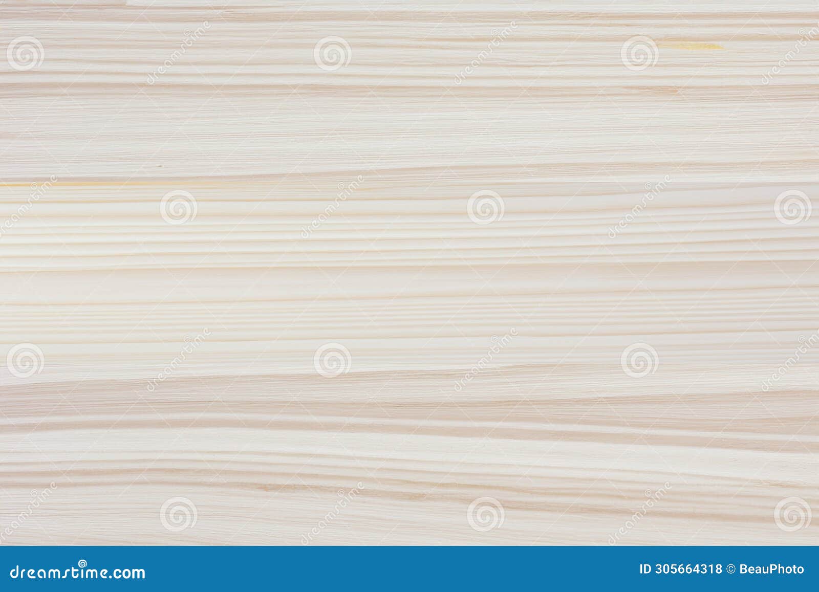 Light Pine Wood Texture Stock Image | CartoonDealer.com #31592845
