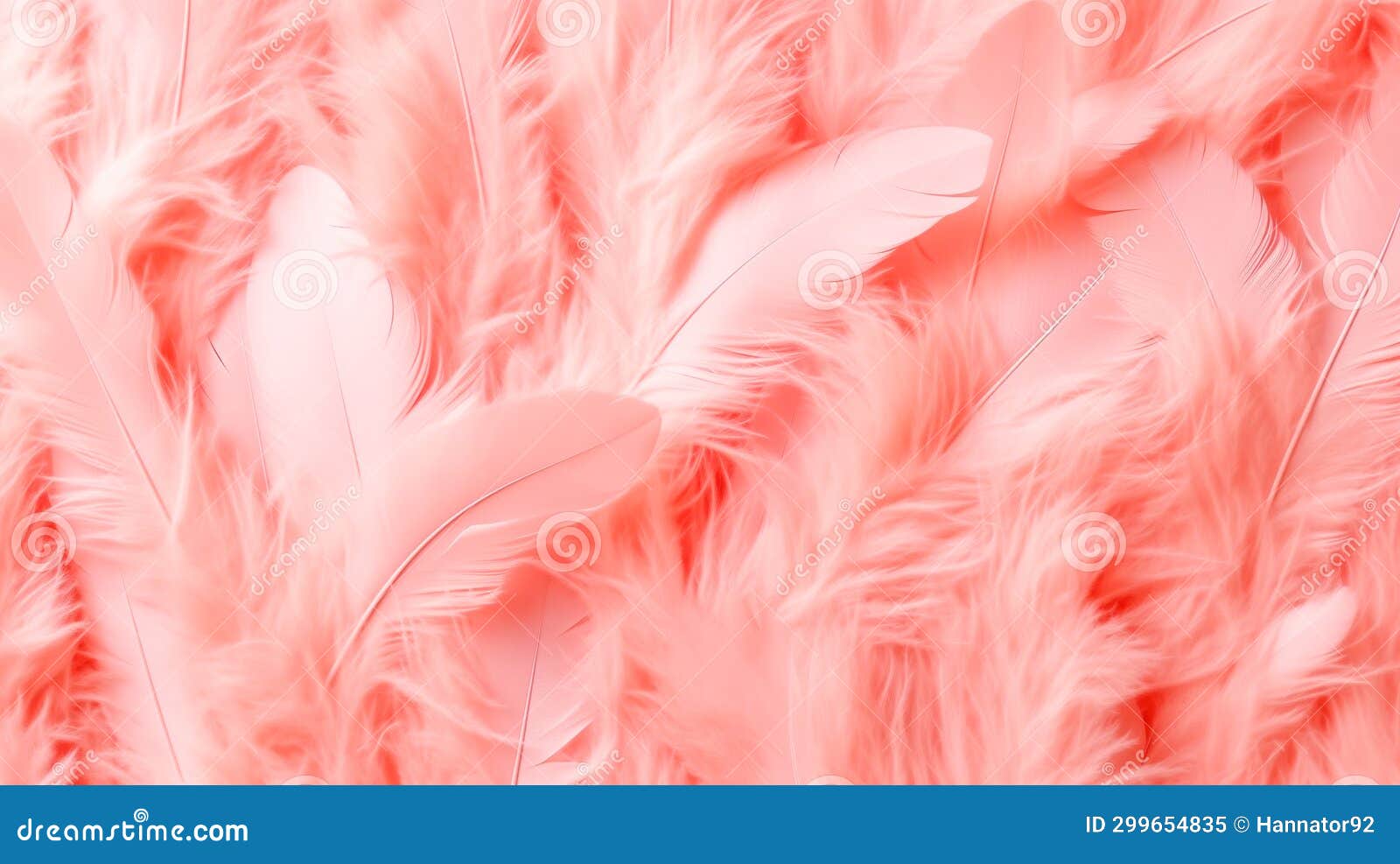 Light Pink Feather As a Background, Full Frame, Copy Space Stock Image ...