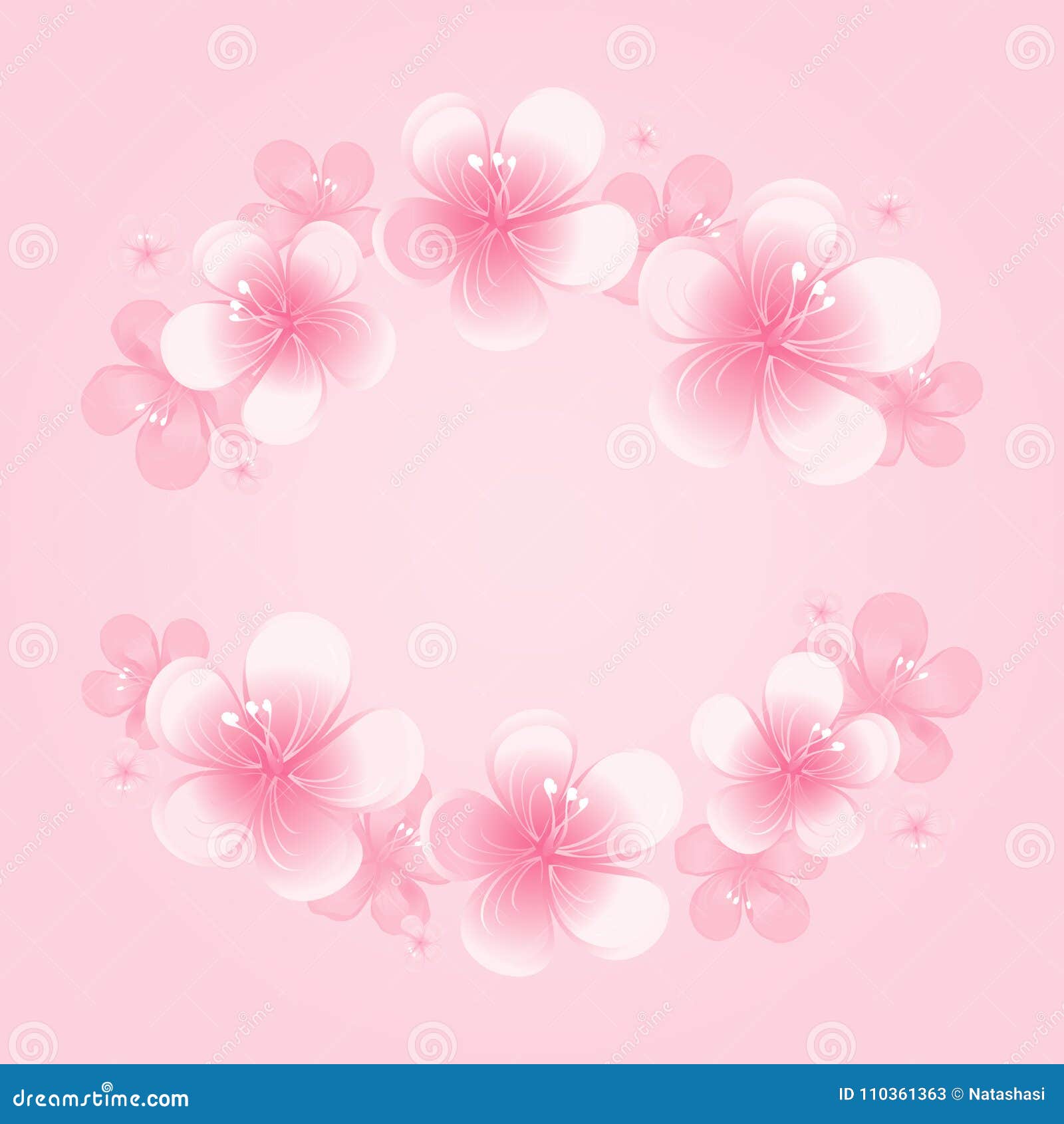 Light Pink Flowers Frame Isolated on Pink Background. Apple-tree ...