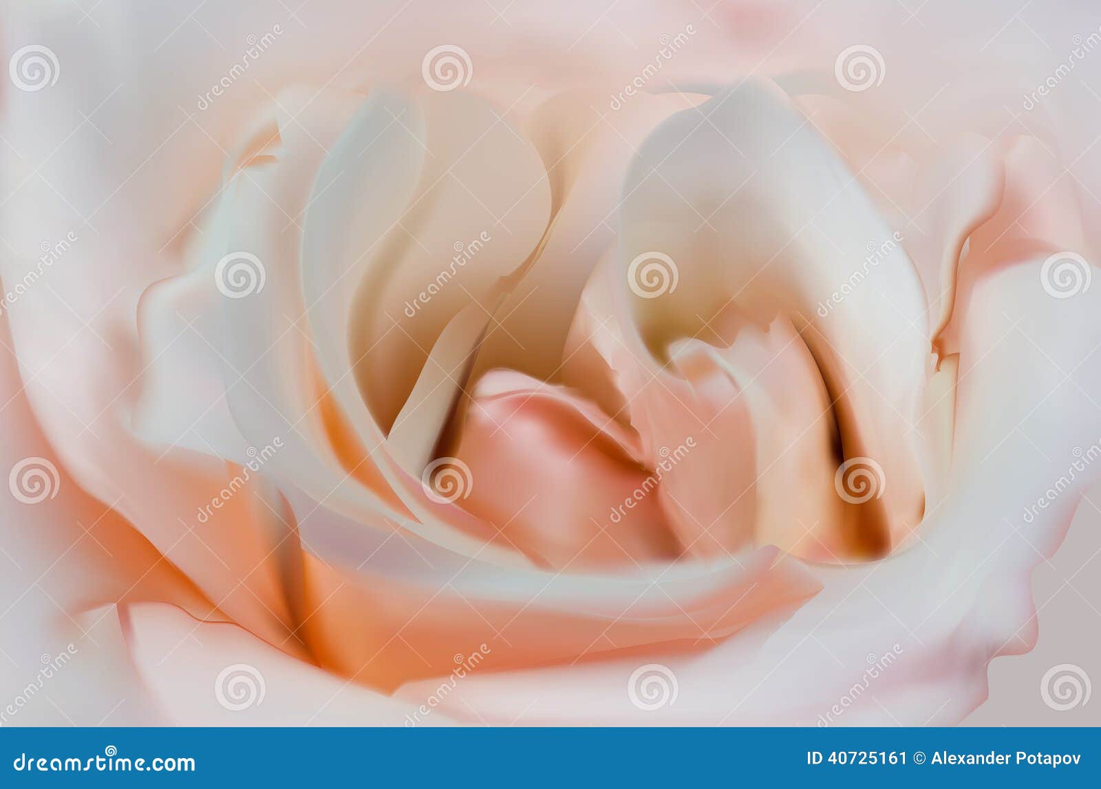 Light Pink Rose Flower Center Illustration Stock Vector - Illustration ...