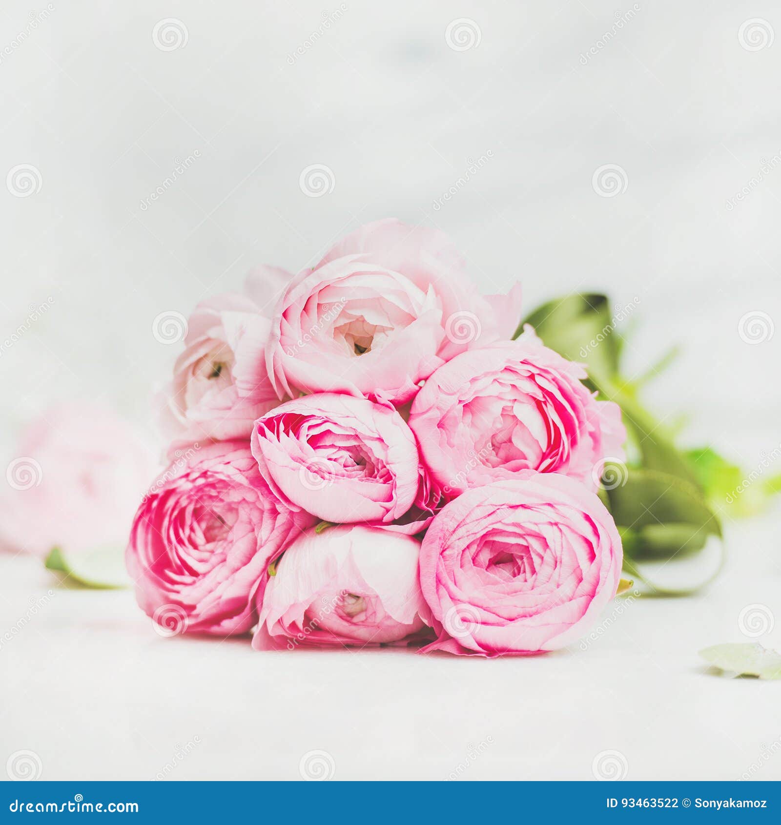 Light Pink Spring Ranunkulus Flowers on Marble Background, Square Crop ...
