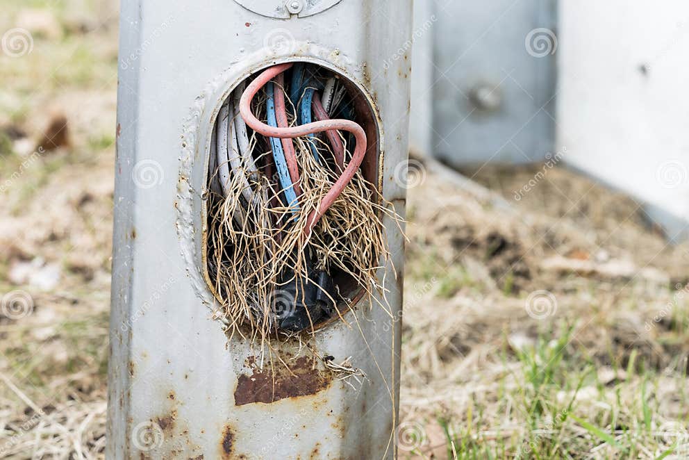 Light Pole Base with Open Electrical Boxt Stock Image - Image of grass ...