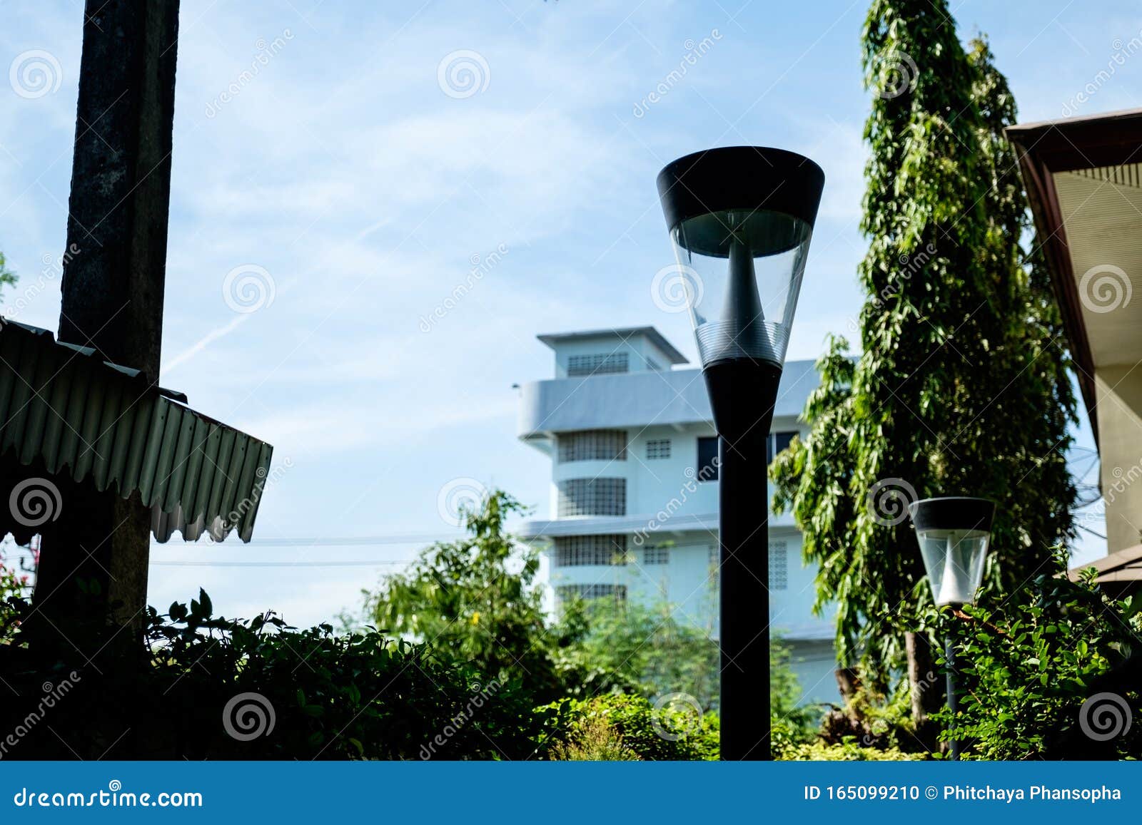 Light Pole Close-up with Greenery Scene Stock Photo - Image of post ...