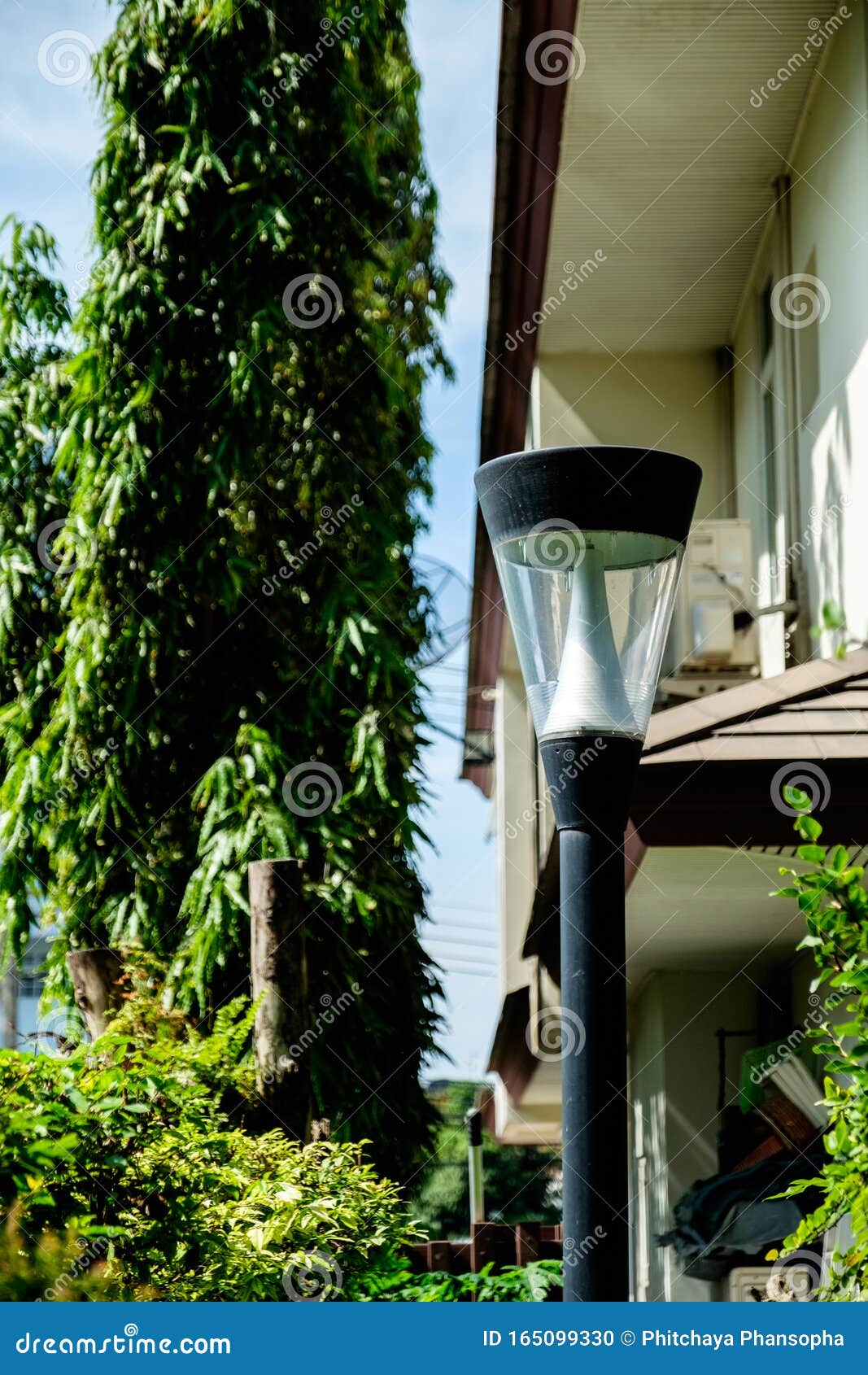 Light Pole Close-up with Greenery Scene Stock Photo - Image of ...