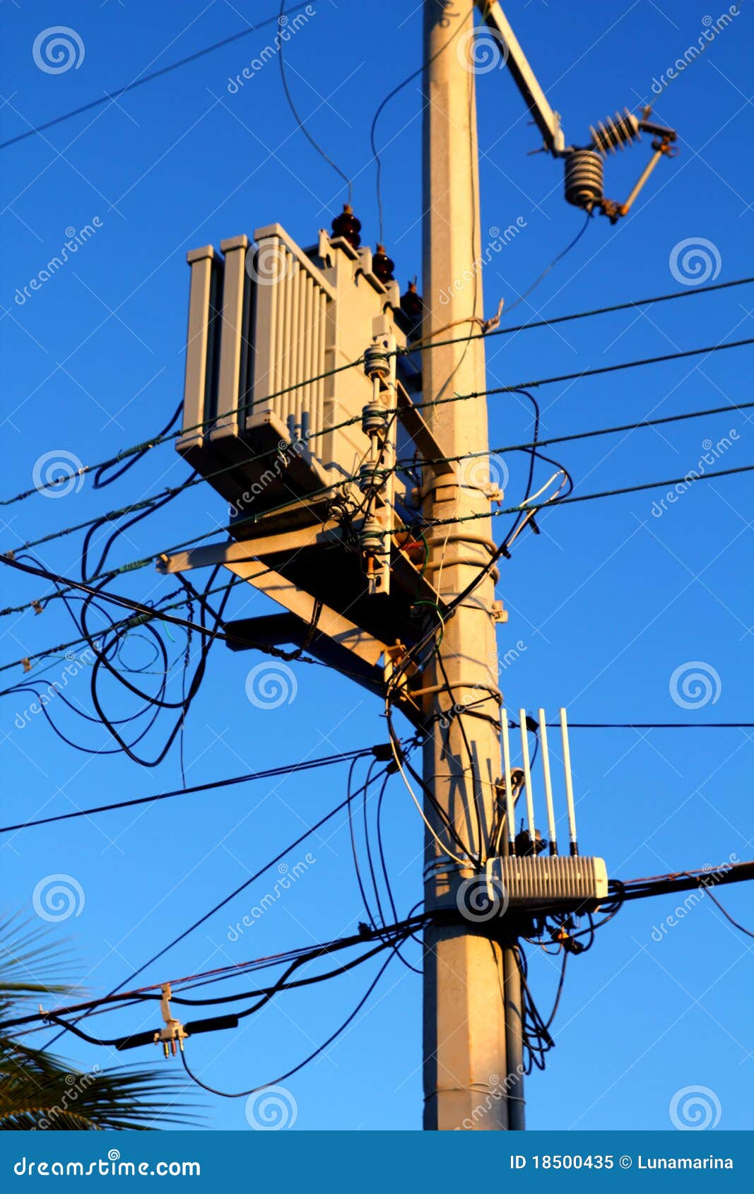 Light Pole Distribution Transformer Messy Wires Stock Image - Image of ...