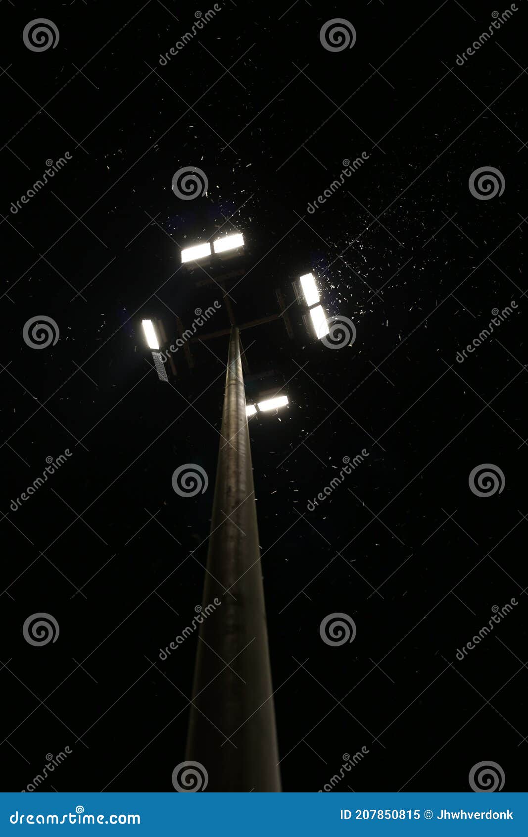 A Light Pole with Four Large Lights Illuminating the Many Bugs that are ...