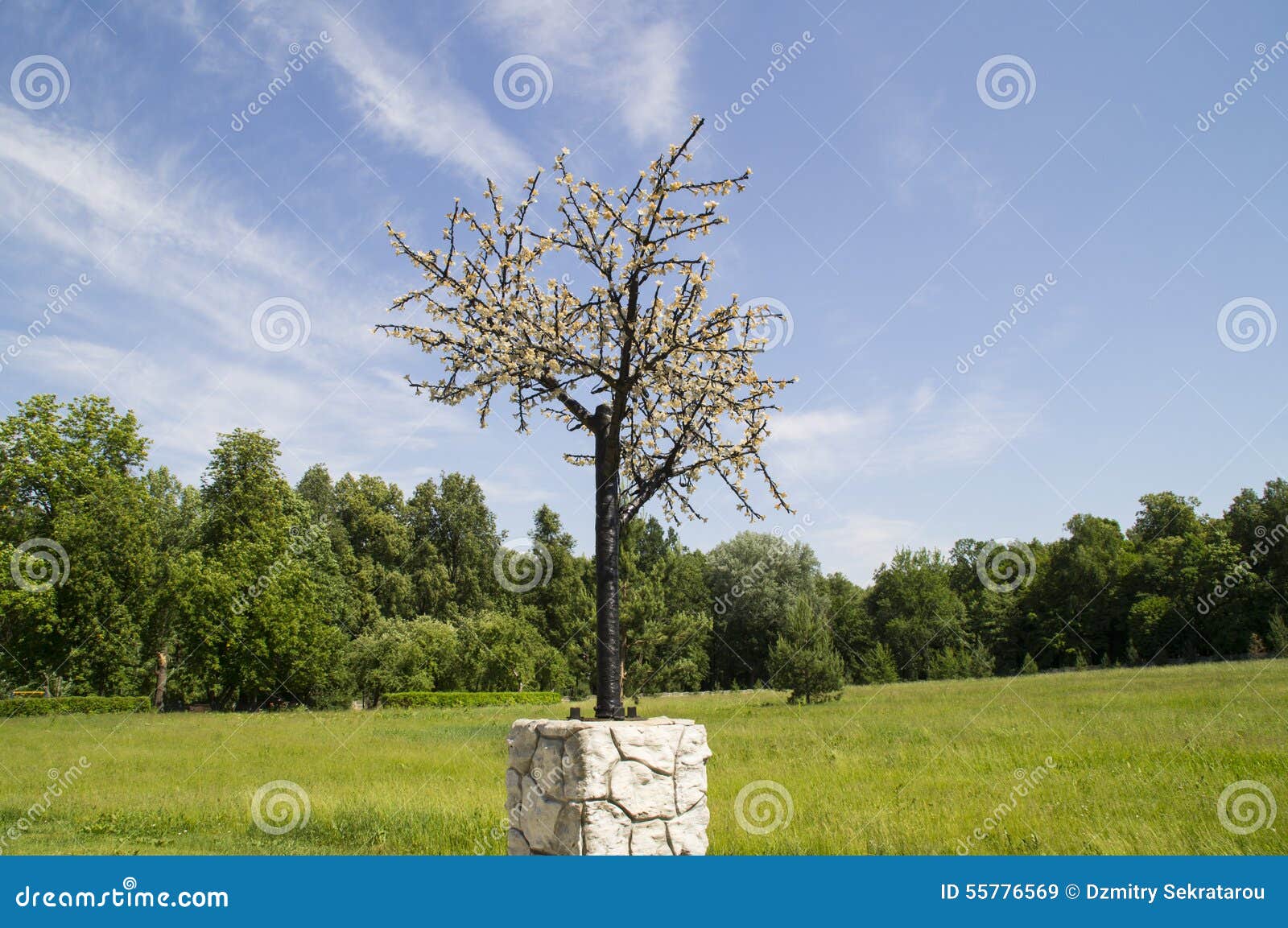 Light poles in a tree stock image. Image of architecture - 55776569