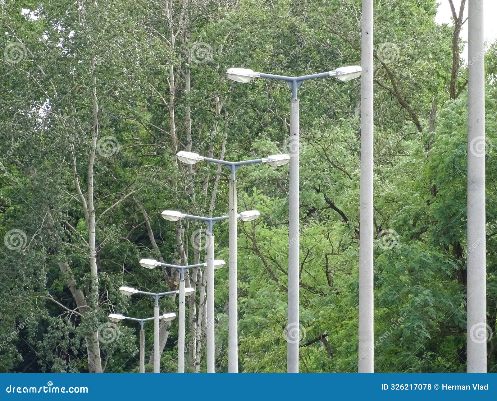 Light Poles and Trees in the Background Stock Photo - Image of concept ...