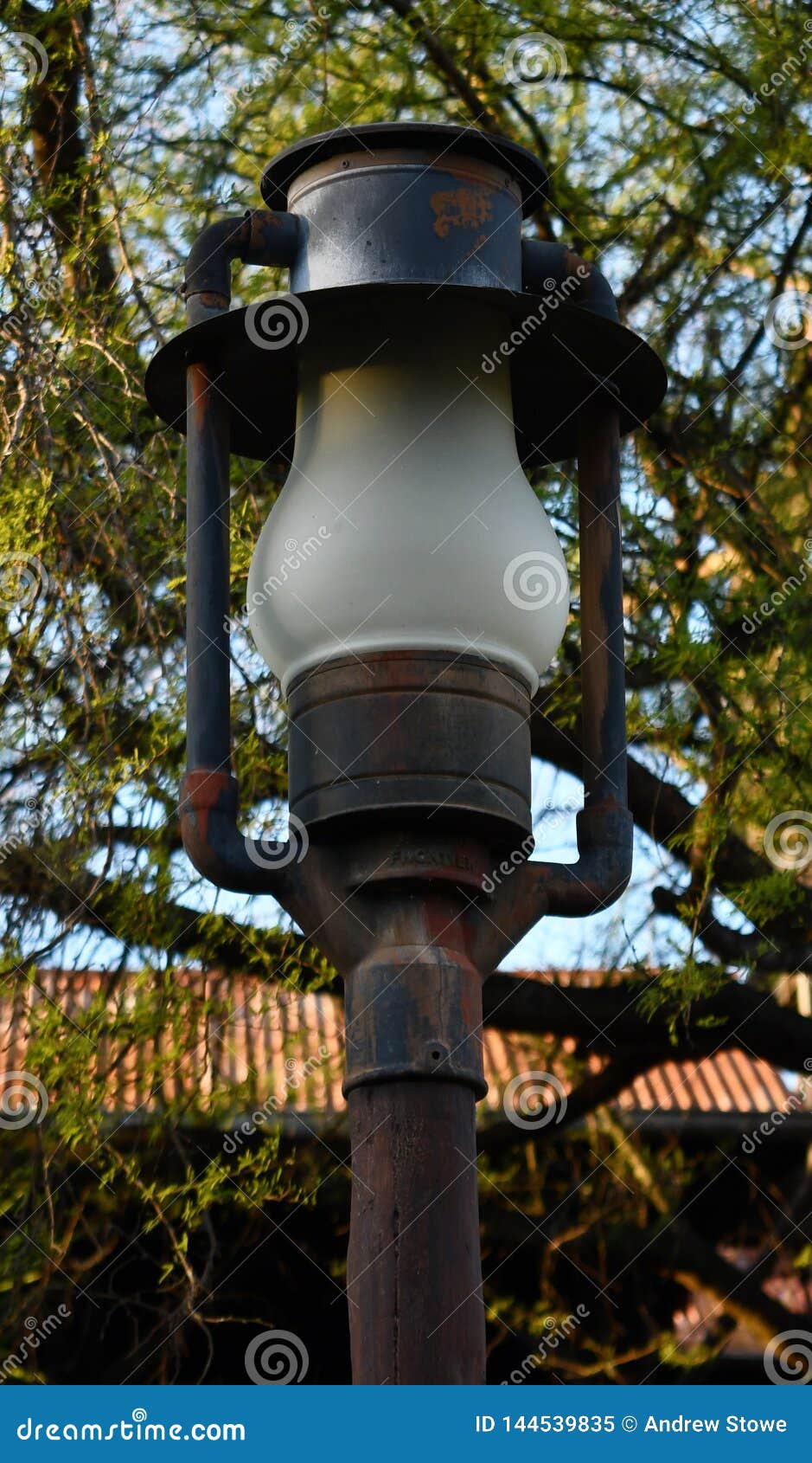 Light post with trees stock image. Image of design, lamp - 144539835