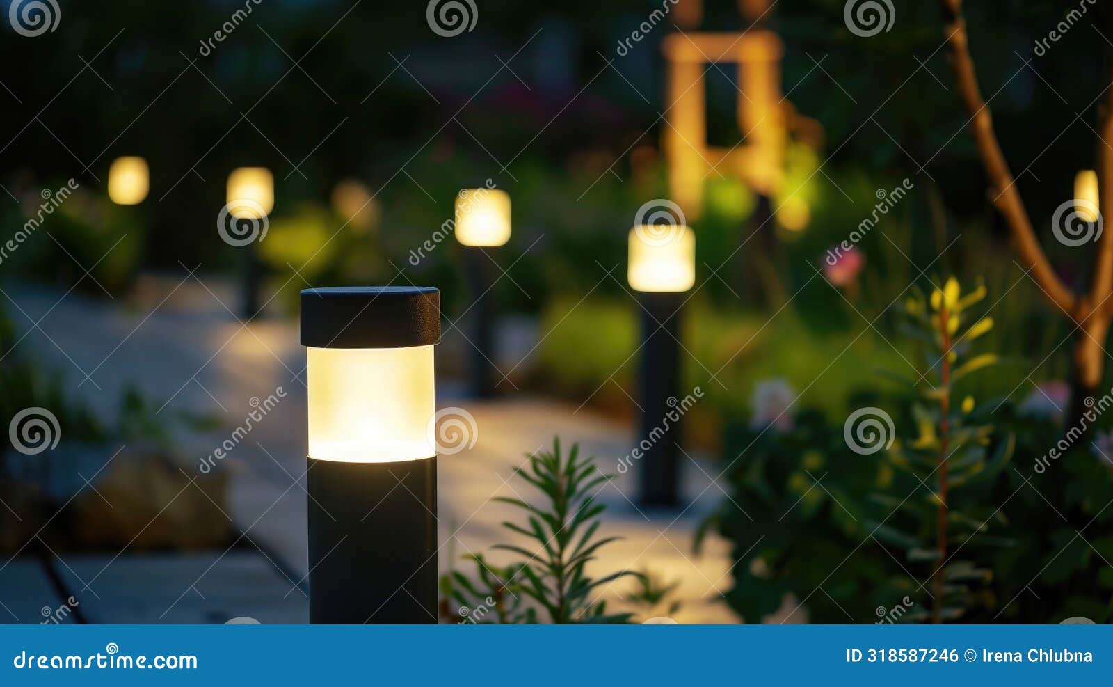 Light Posts Illuminated Backyard Garden during Night Hours. Modern ...
