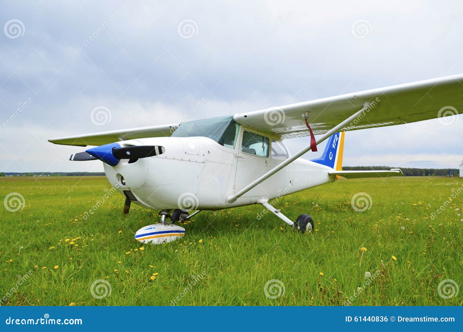 Light Private Airplane C172 Stock Photo - Image of grass, flight: 61440836