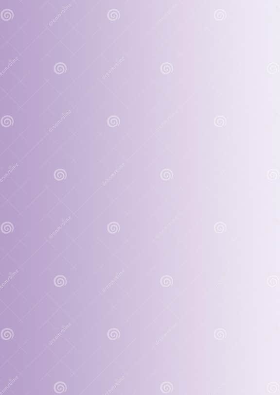 Light Purple Gradient Background Stock Image - Image of packaging ...