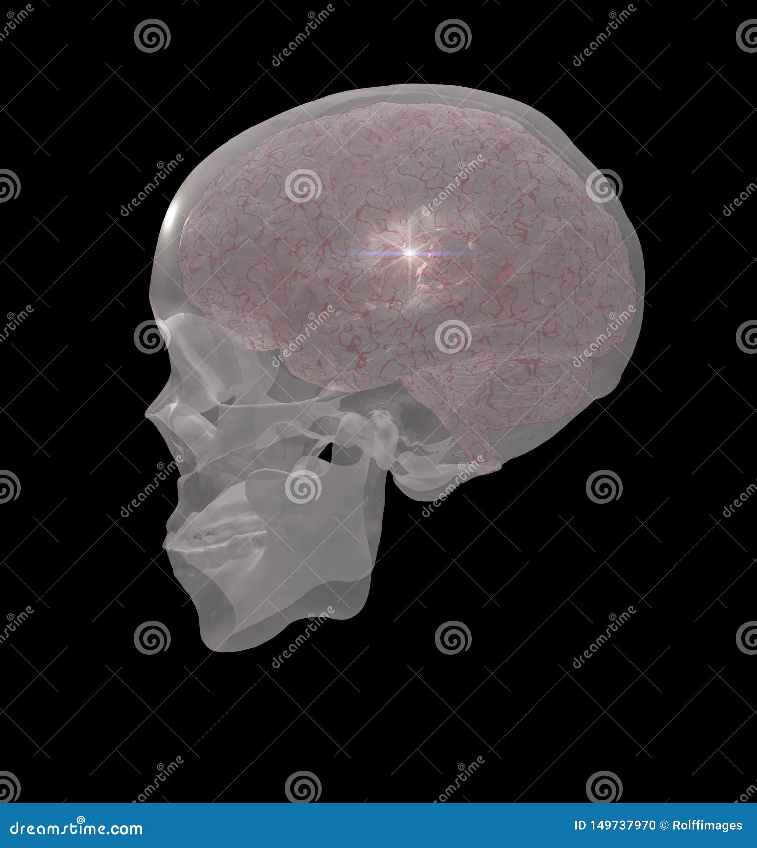 Skull with brain inside stock illustration. Illustration of head ...