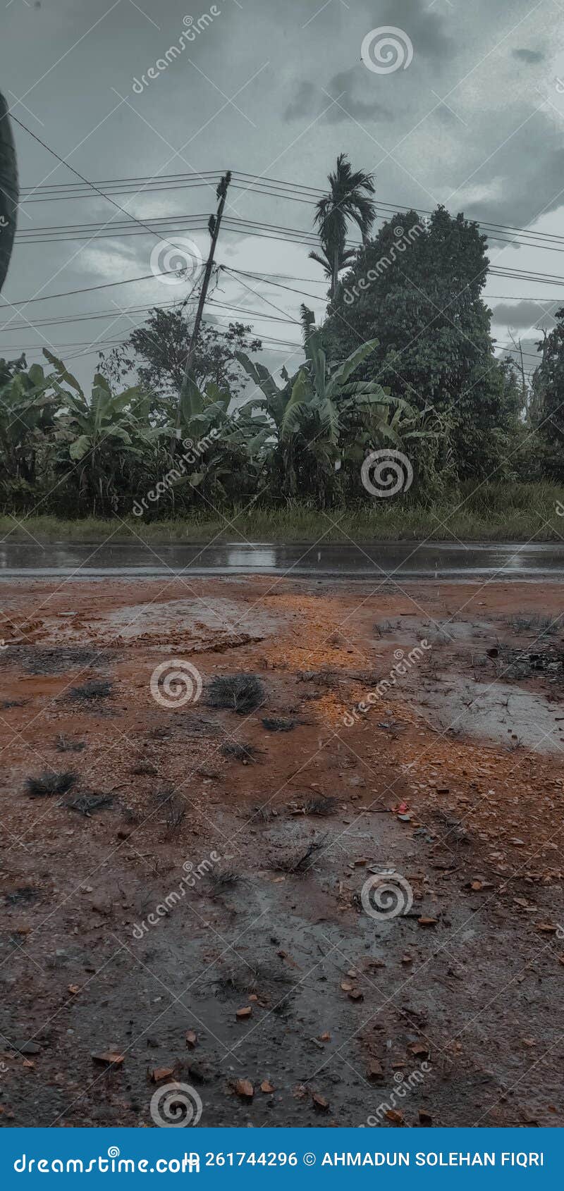 The Light Rain Made the Ground Wet Stock Photo - Image of rain, light ...