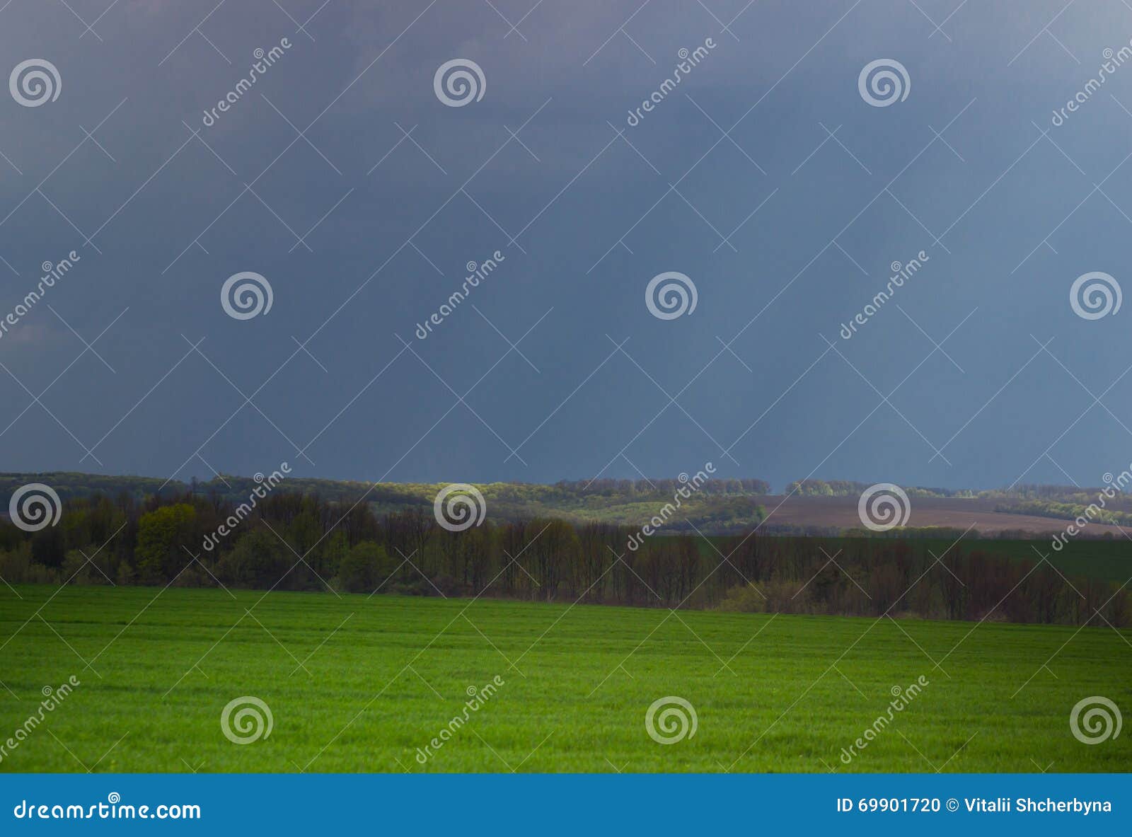 Light Rays Fall on the Grass. Background Stock Photo - Image of scenic ...