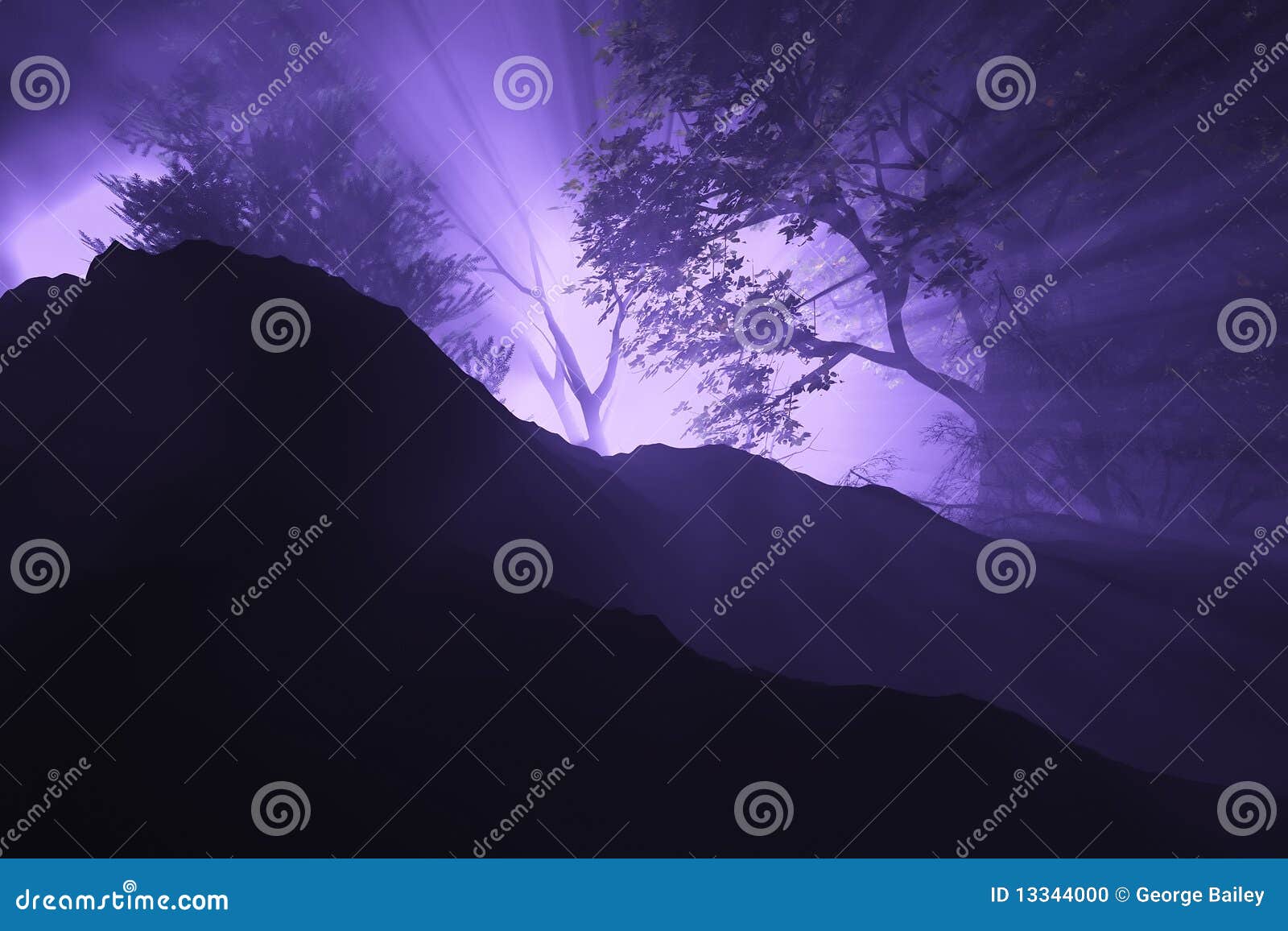 Light Rays at Night stock illustration. Illustration of forest - 13344000