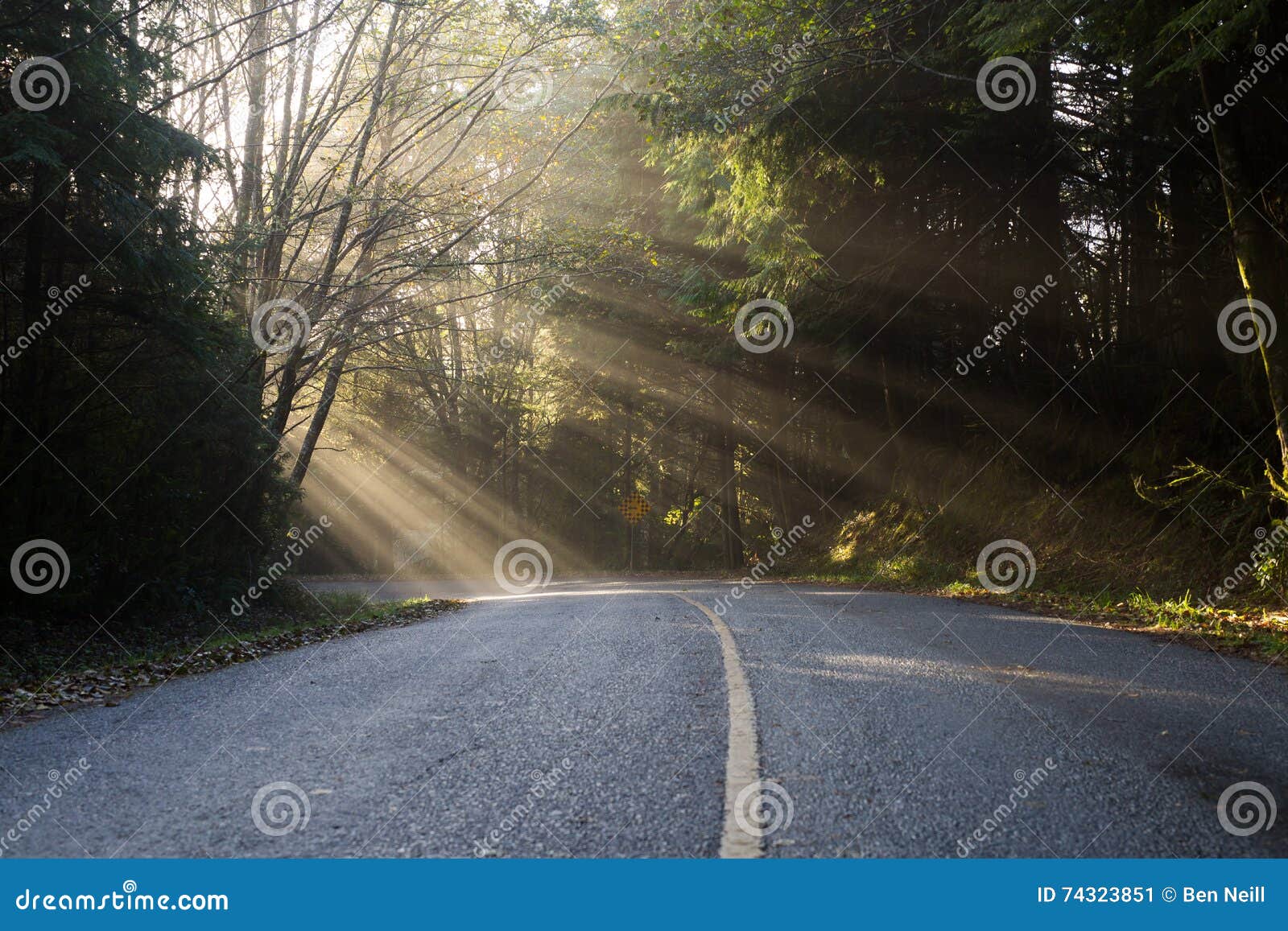 Light Rays on a Road stock image. Image of light, neill - 74323851